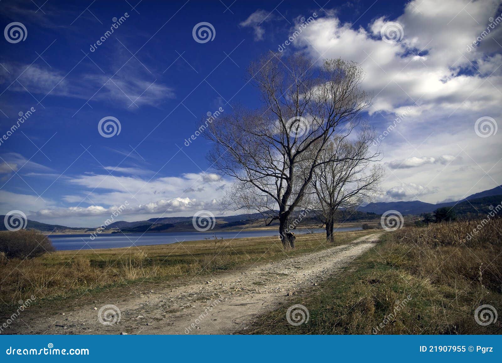 Rural road on sunny day. stock image. Image of forest - 21907955