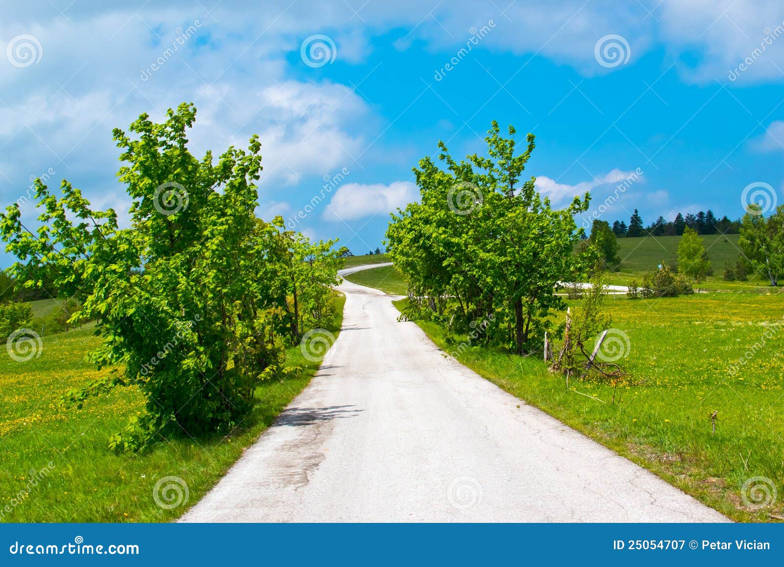 Rural road on sunny day stock image. Image of green, land - 25054707