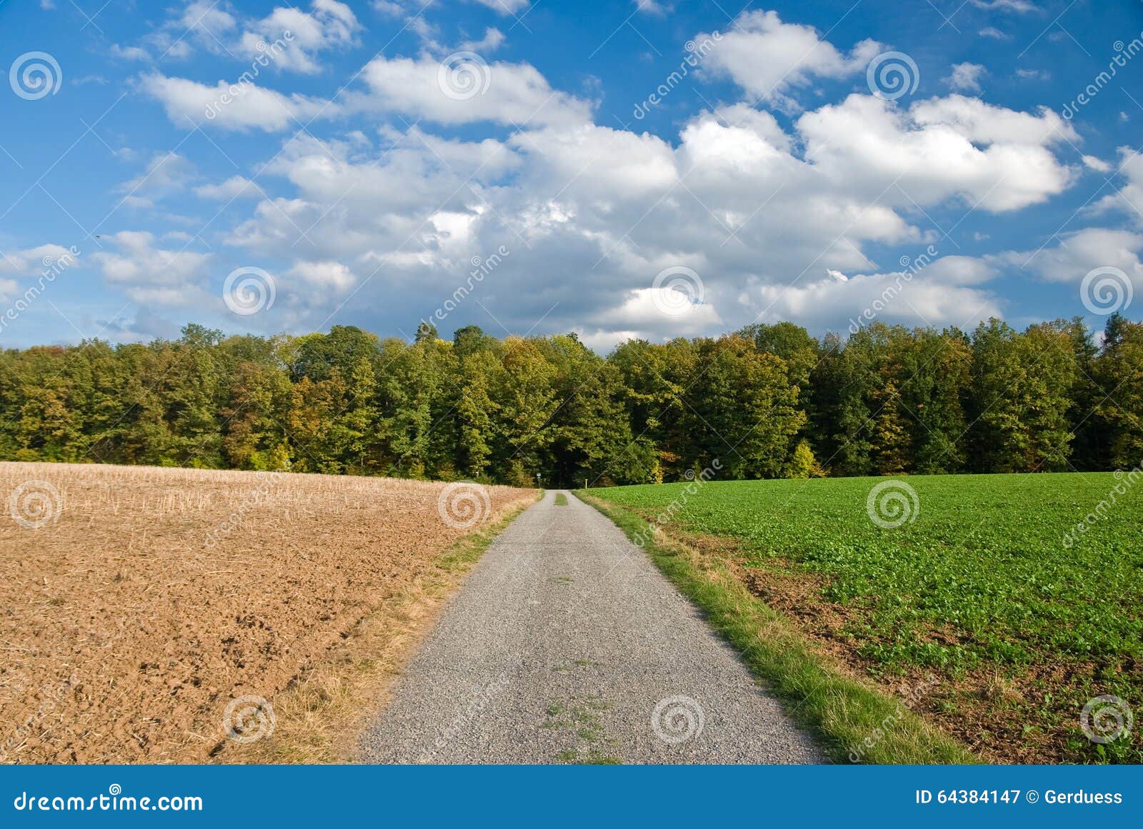 Rural road on sunny day. stock image. Image of road, empty - 64384147