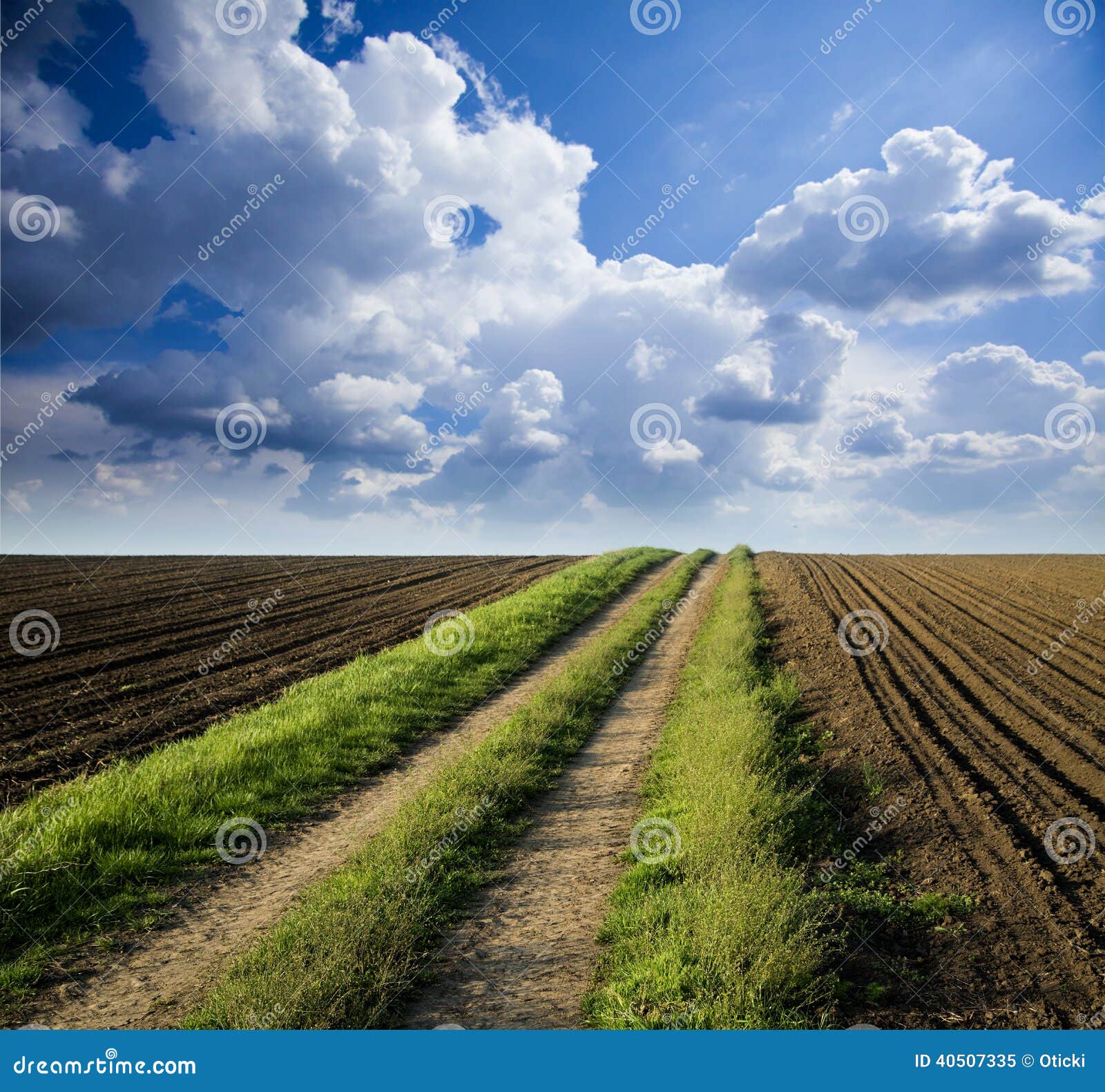 Rural road trough fields stock image. Image of arable - 40507335