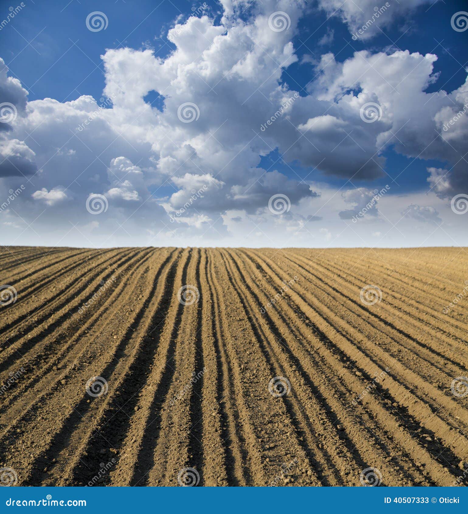 Rural Road Trough Fields of Arable Land Stock Image - Image of ...