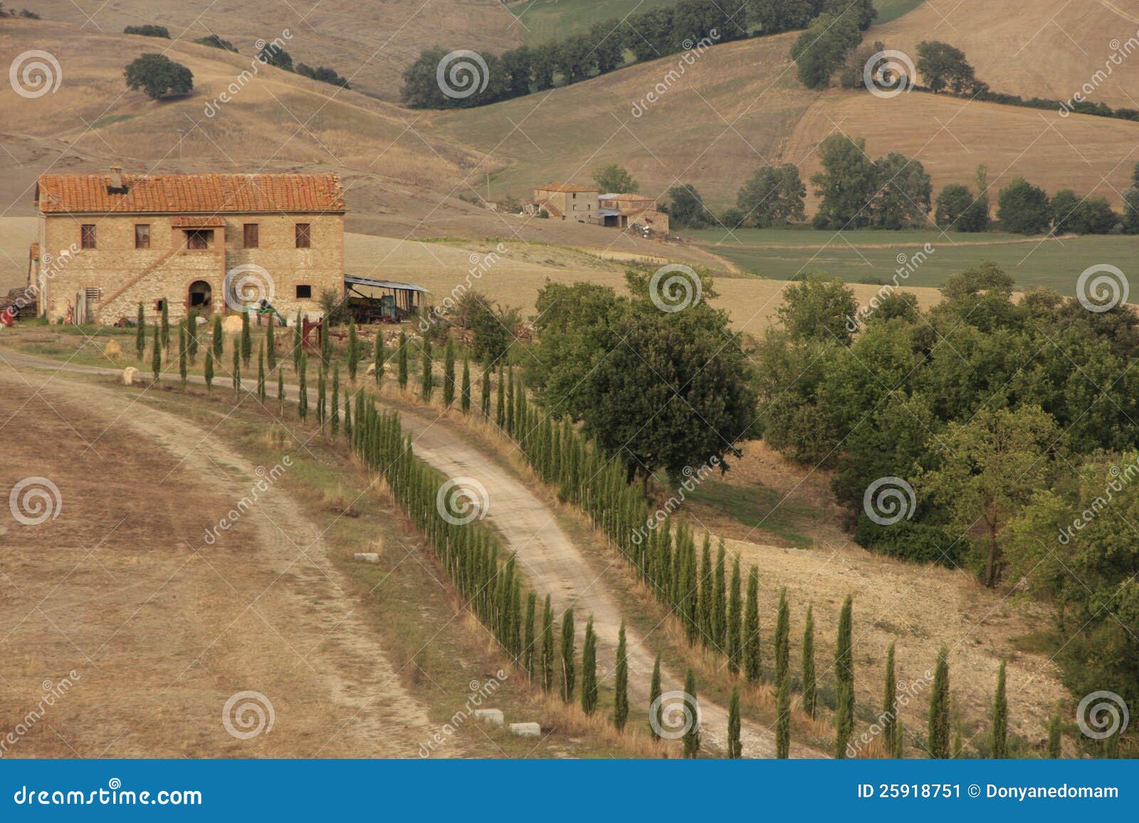 Rural road, Tuscany Italy stock image. Image of green - 25918751