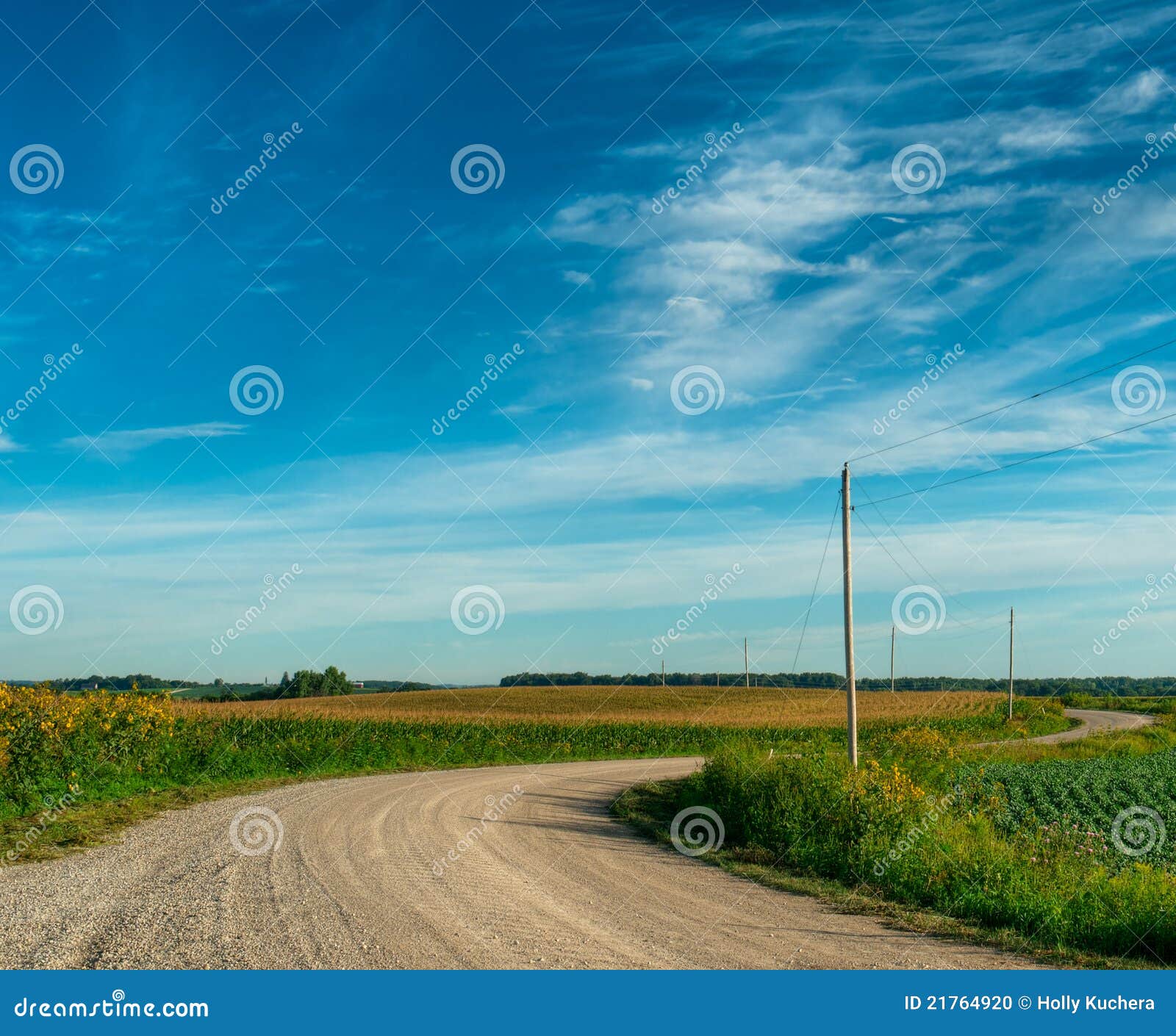Rural Road Winds through Corn Fields Stock Photo - Image of horizontal ...