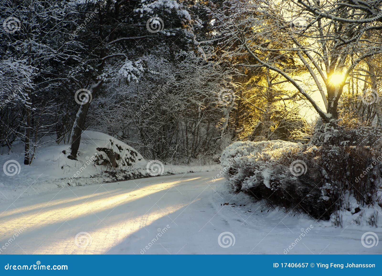 Rural road in winter stock image. Image of rural, light - 17406657