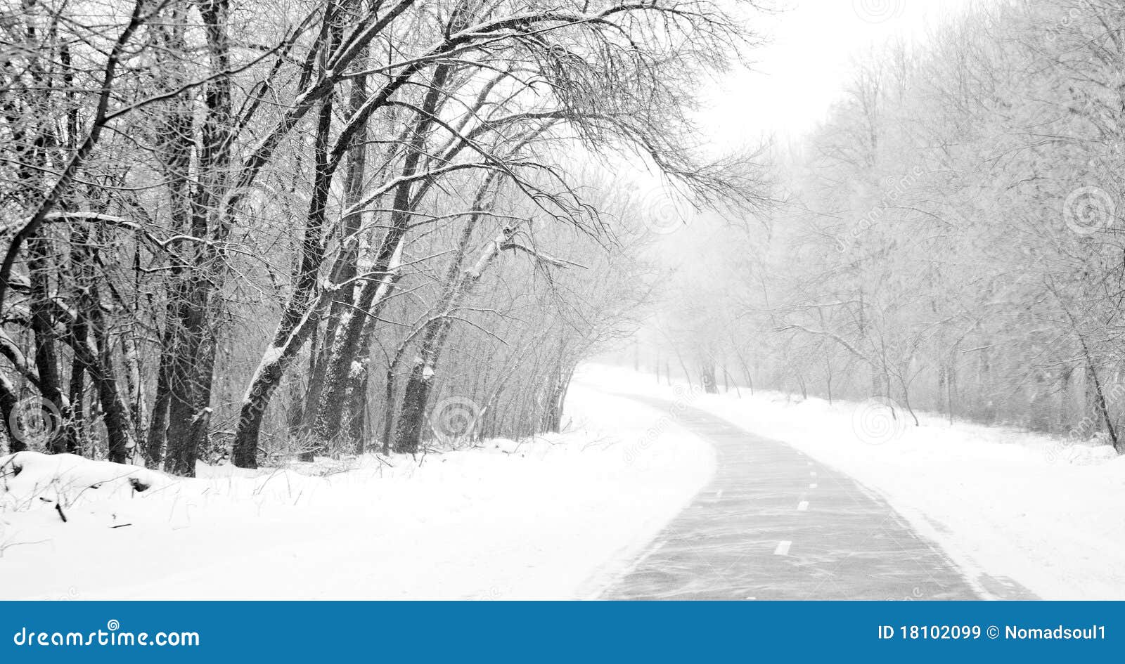 Rural Road at Winter Forest Stock Image - Image of blizzard, chill ...