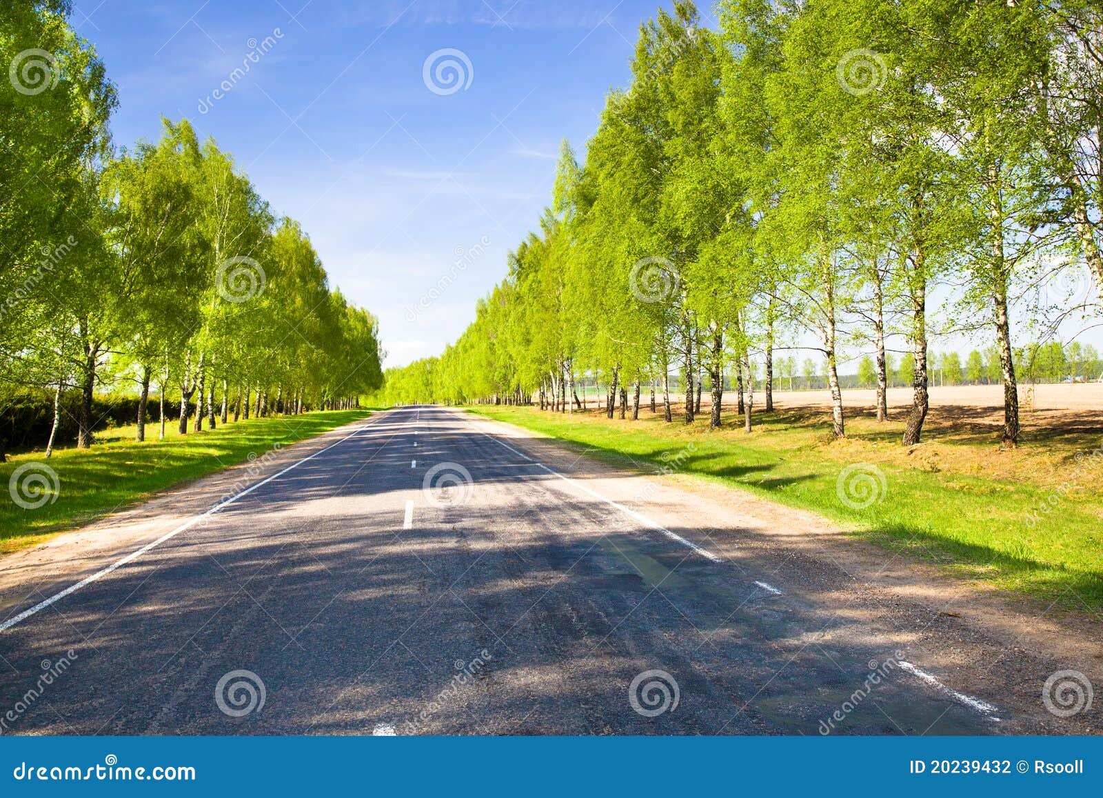 Rural roads stock photo. Image of land, asphalt, grassy - 20239432