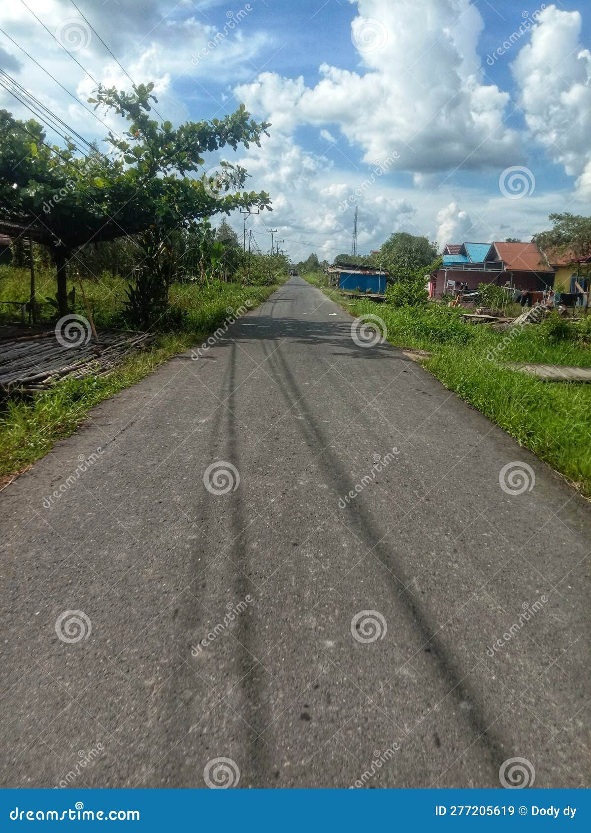 Rural Roads, Green Trees and a Clean Environment Stock Image - Image of ...