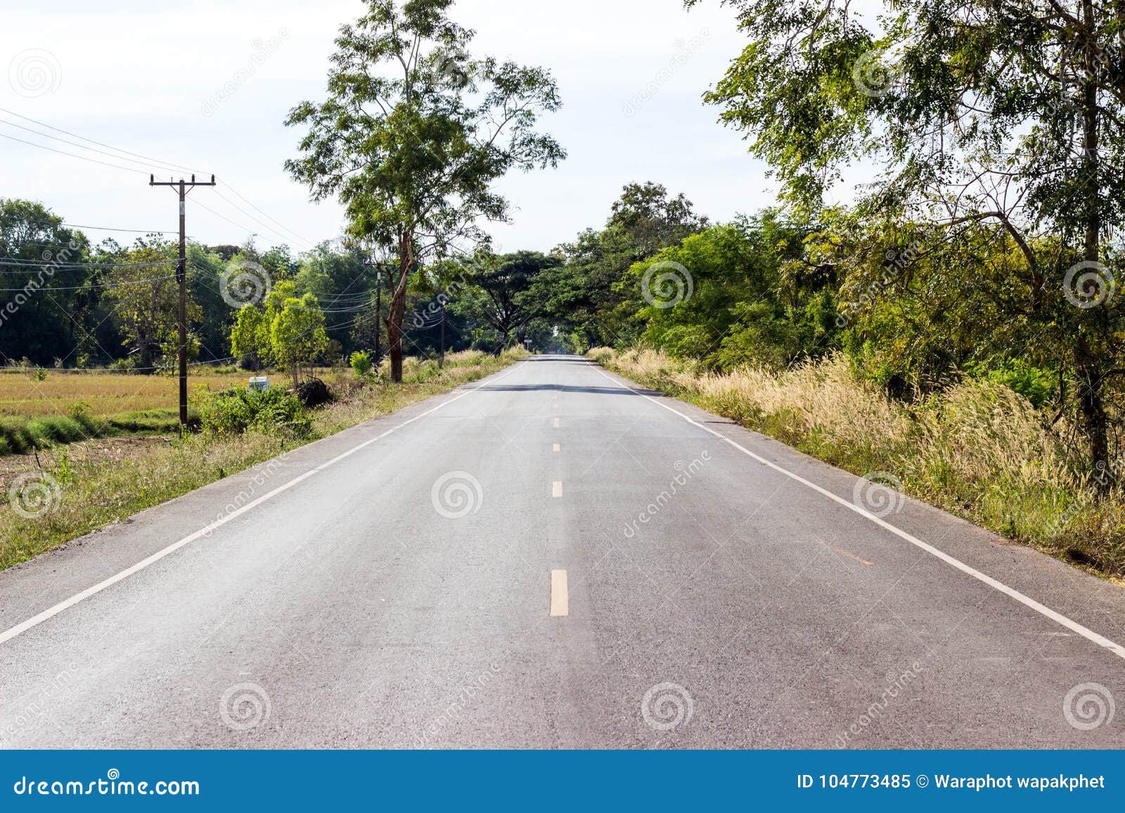 Rural Roads Landscape,tree Along the Way Stock Image - Image of ...