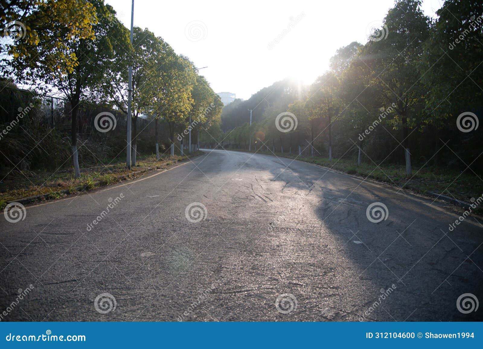 Rural Roads stock photo. Image of nature, grass, roads - 312104600
