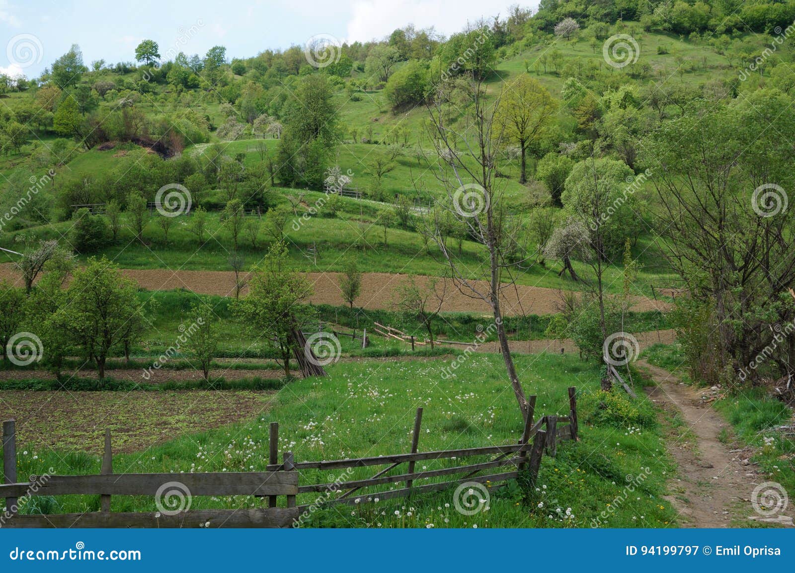 Rural Romanian scenery stock image. Image of green, peaceful - 94199797