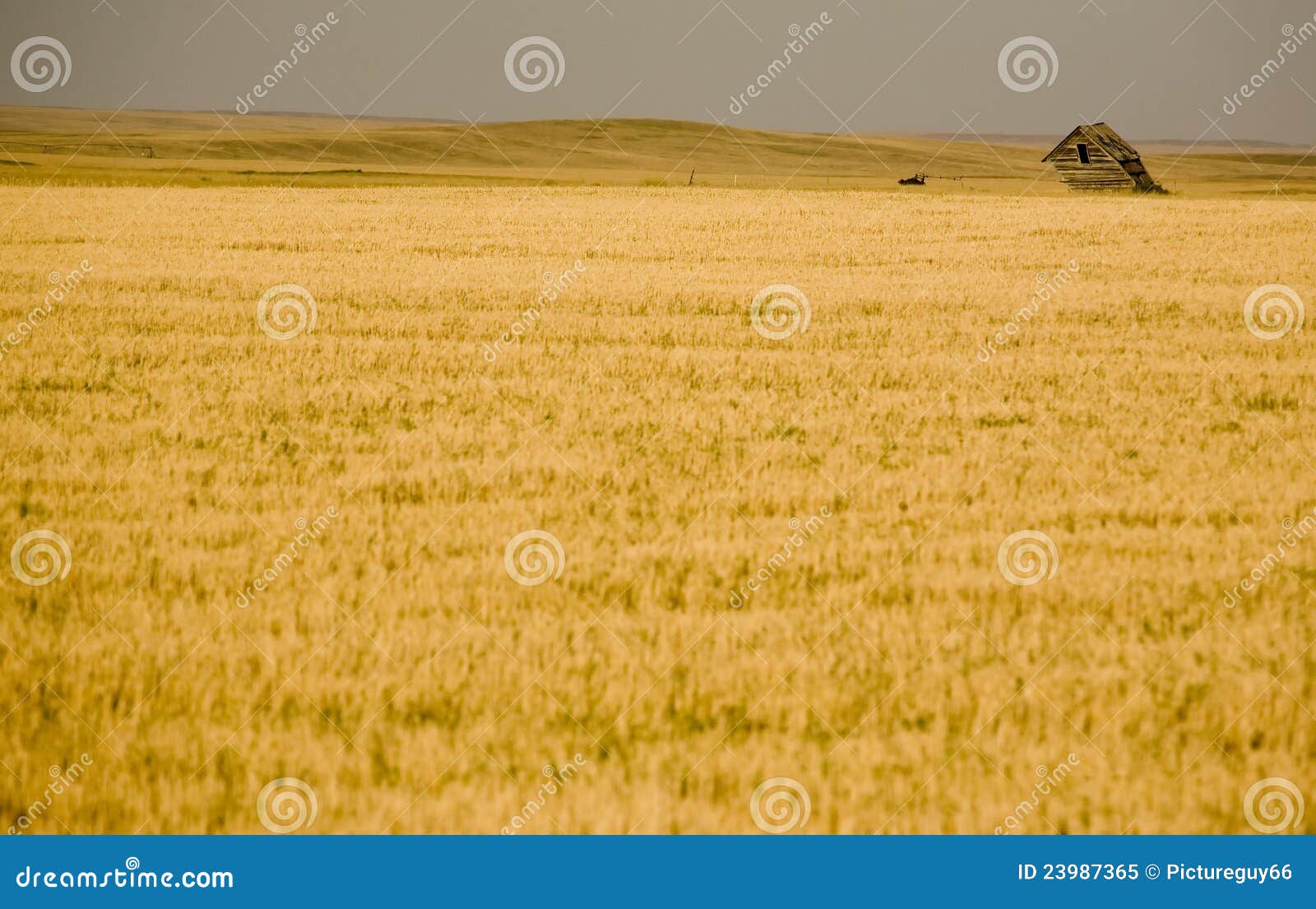 Rural Saskatchewan stock image. Image of rural, colorful - 23987365