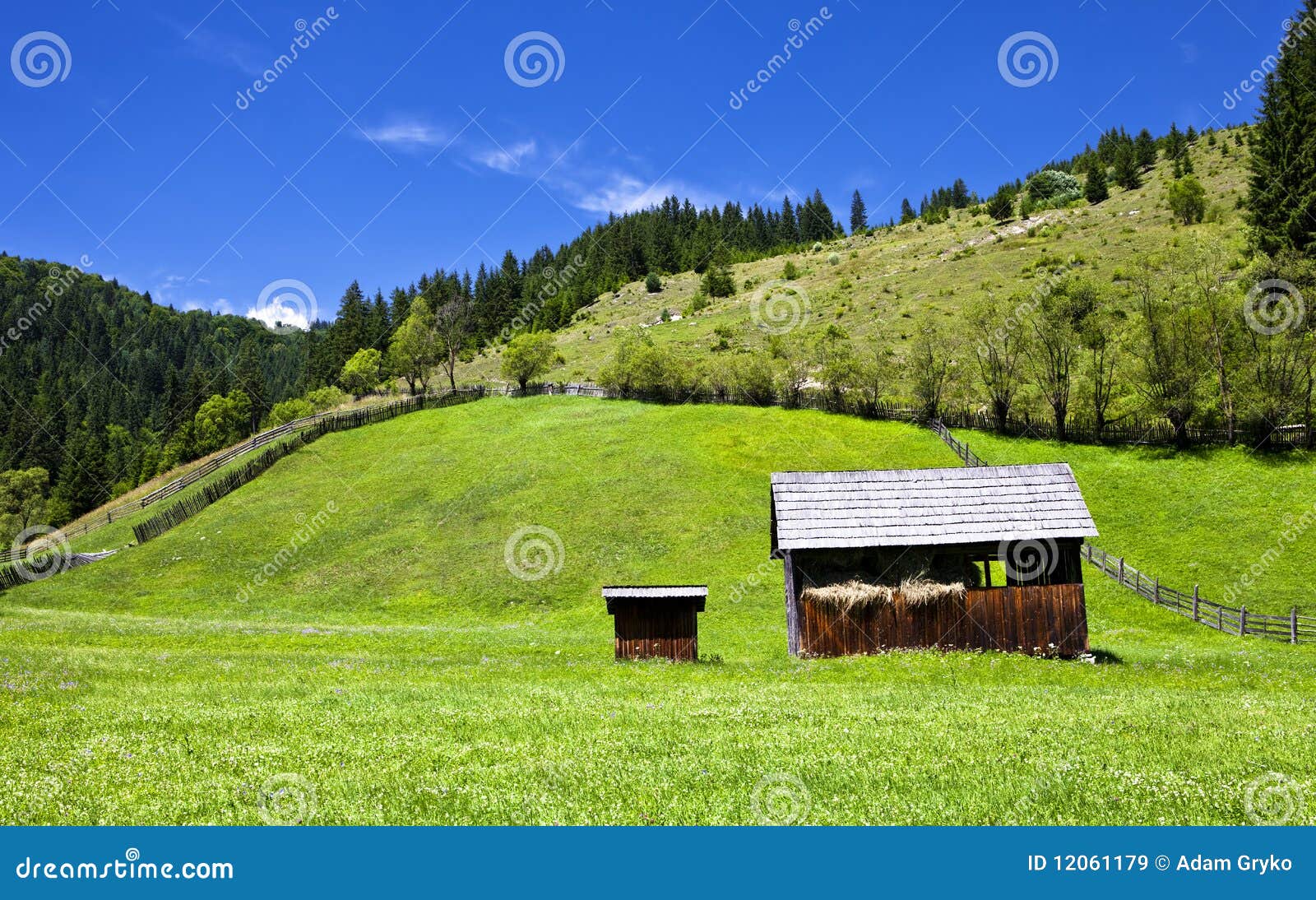 Rural scene stock image. Image of countryside, meadow - 12061179