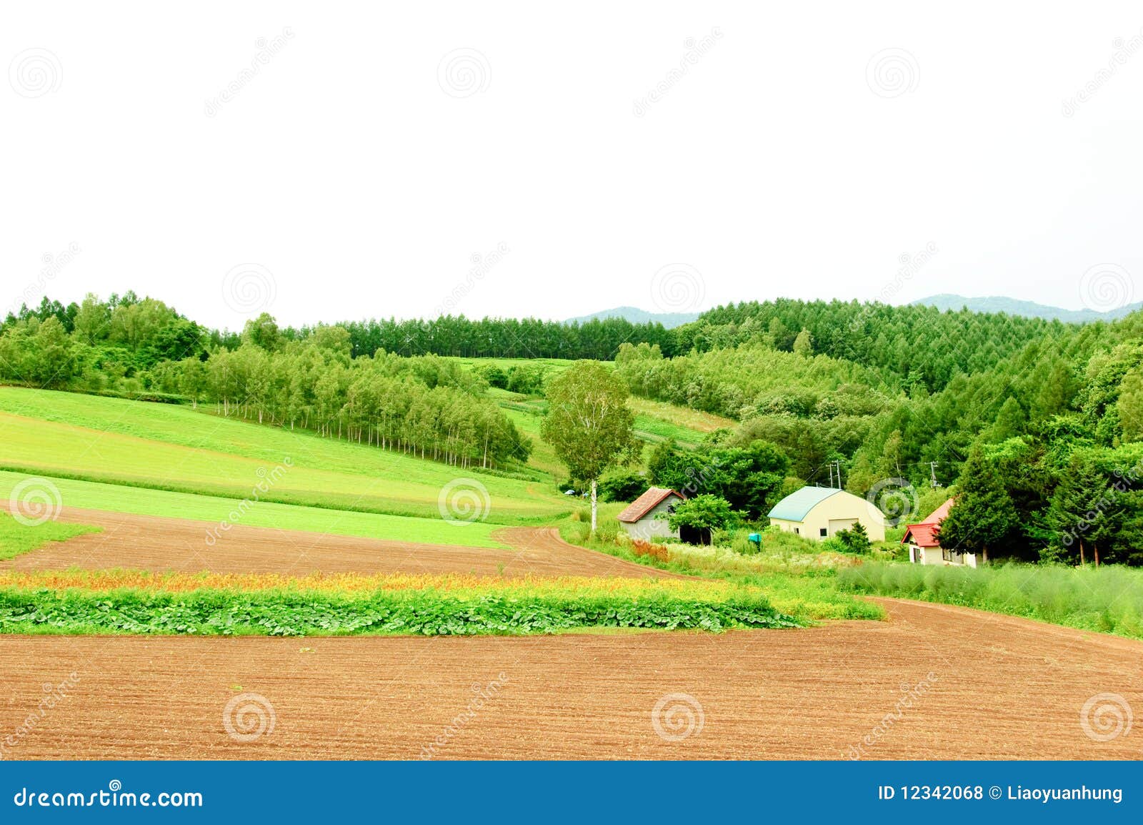 Rural scene stock photo. Image of meadow, landscape, farmhouse - 12342068