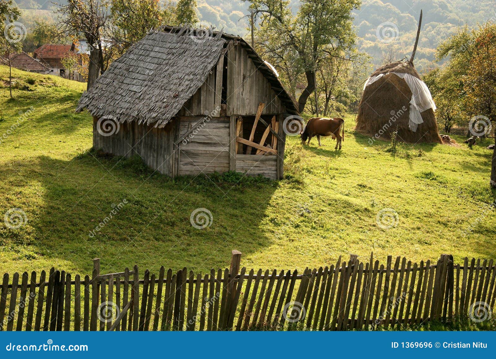 Rural Scene In The French Landscape With Dry Stone Walls , Aubrac ...