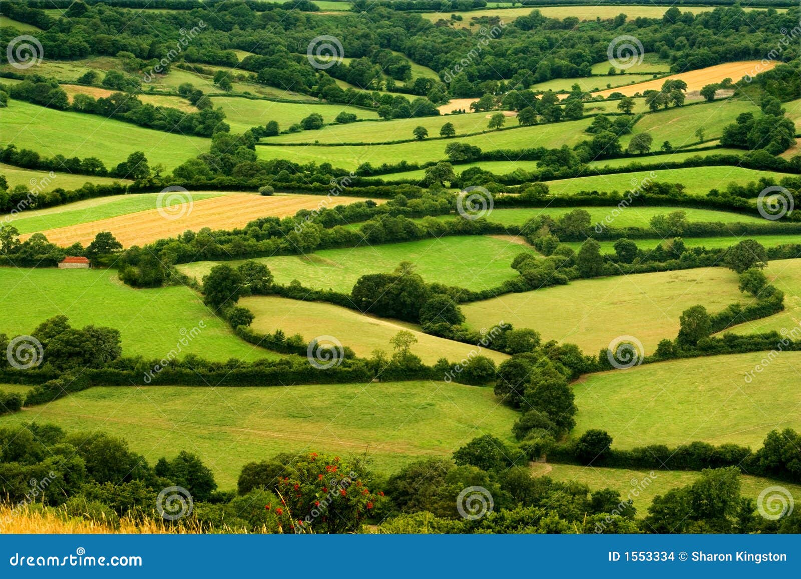 Rural Scene stock photo. Image of natural, farming, agriculture - 1553334