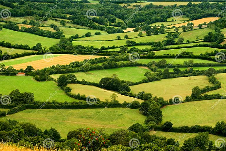 Rural Scene stock photo. Image of natural, farming, agriculture - 1553334