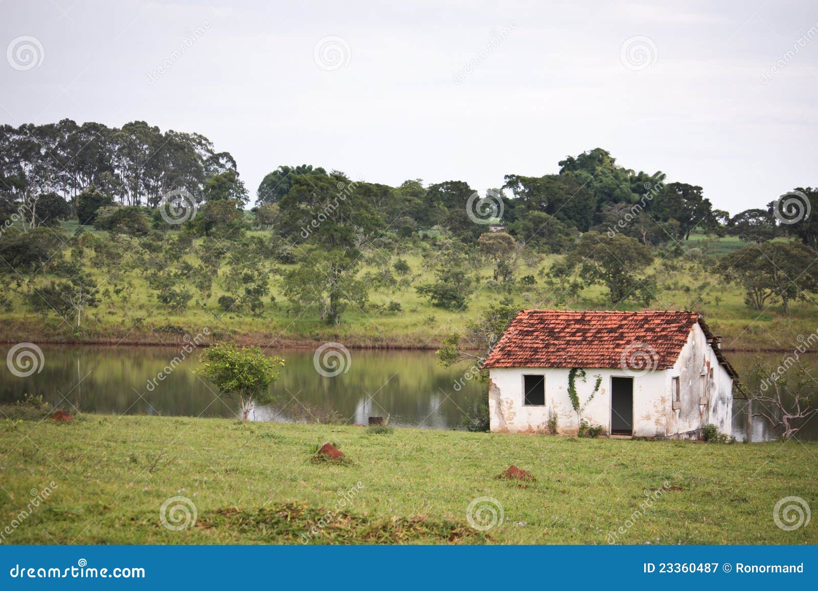 Rural Scene stock image. Image of horizontal, green, ruin - 23360487