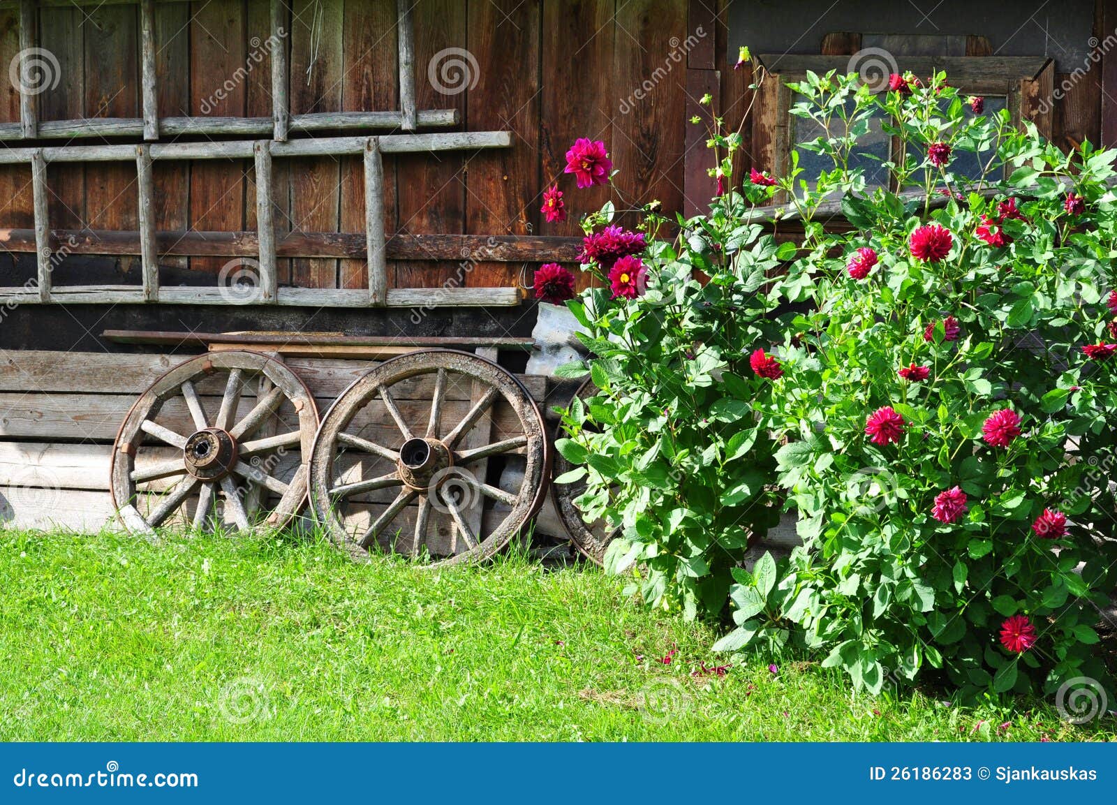 Rural Scene In The French Landscape With Dry Stone Walls , Aubrac ...