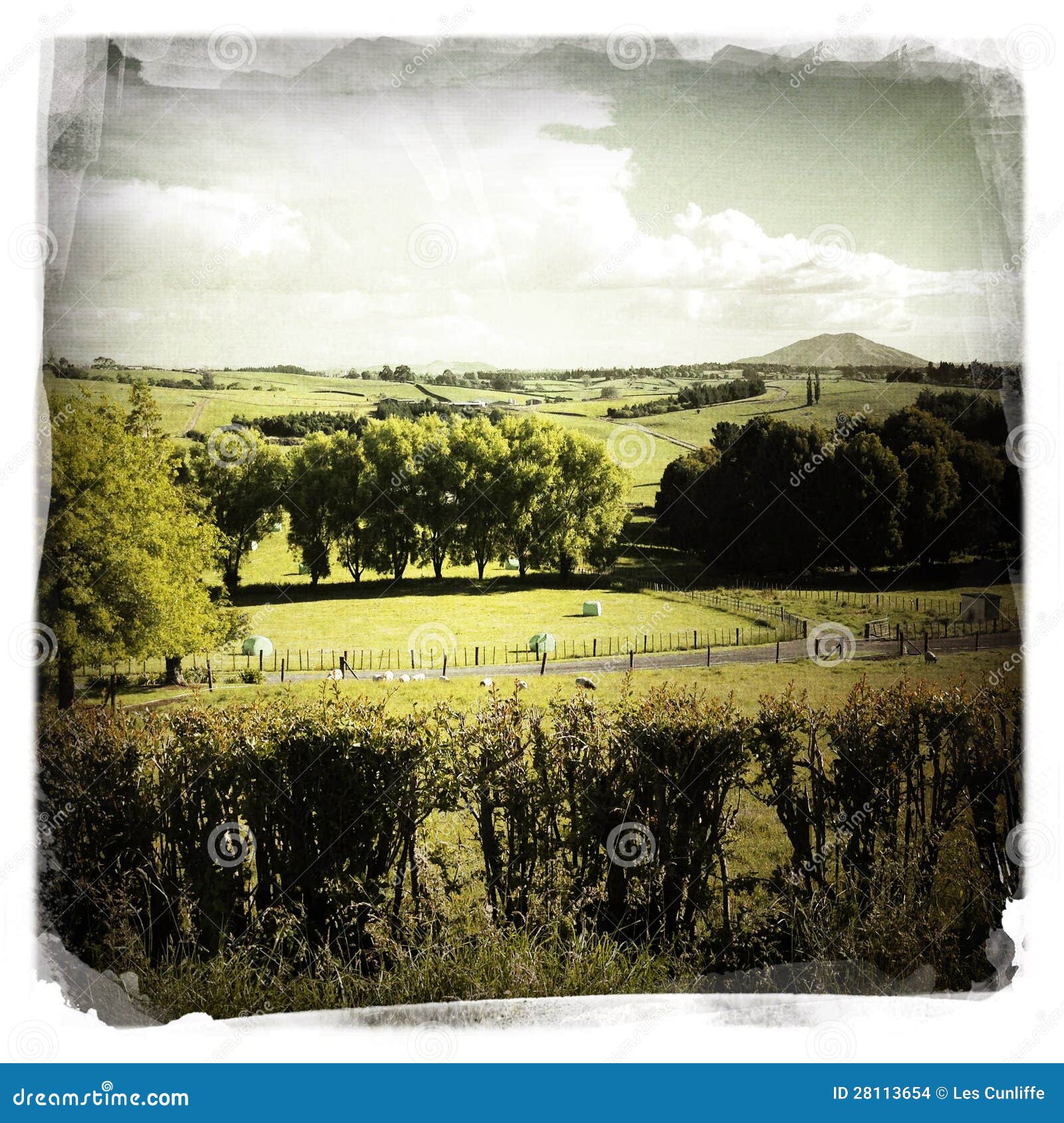 Rural scene stock photo. Image of rural, grazing, countryside - 28113654