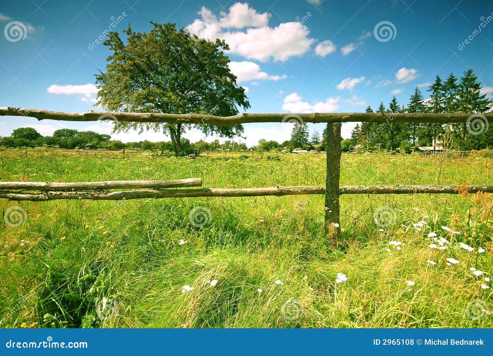 Rural scene stock photo. Image of farming, detached, agricultural - 2965108