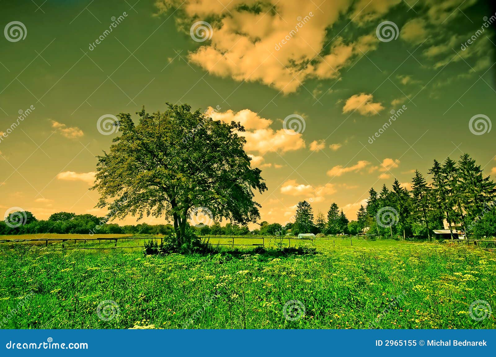 Rural scene stock image. Image of natural, blue, hilly - 2965155