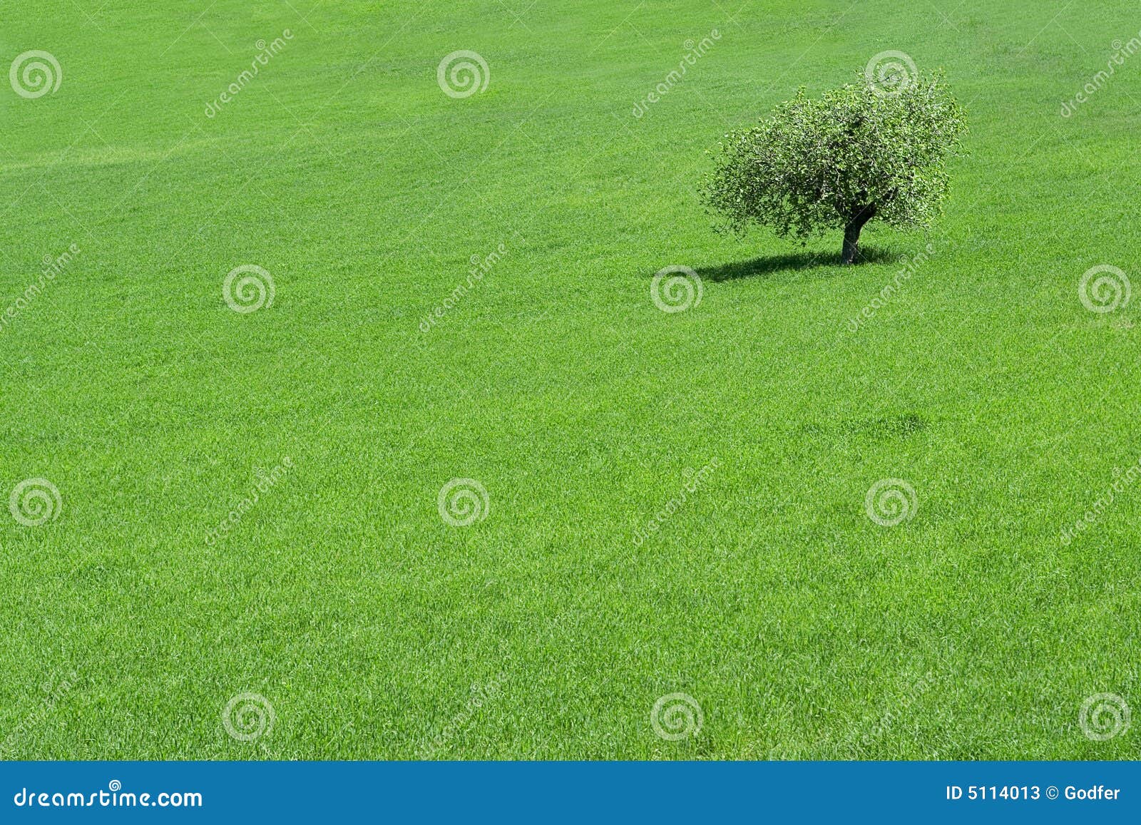 Rural Scene In The French Landscape With Dry Stone Walls , Aubrac ...