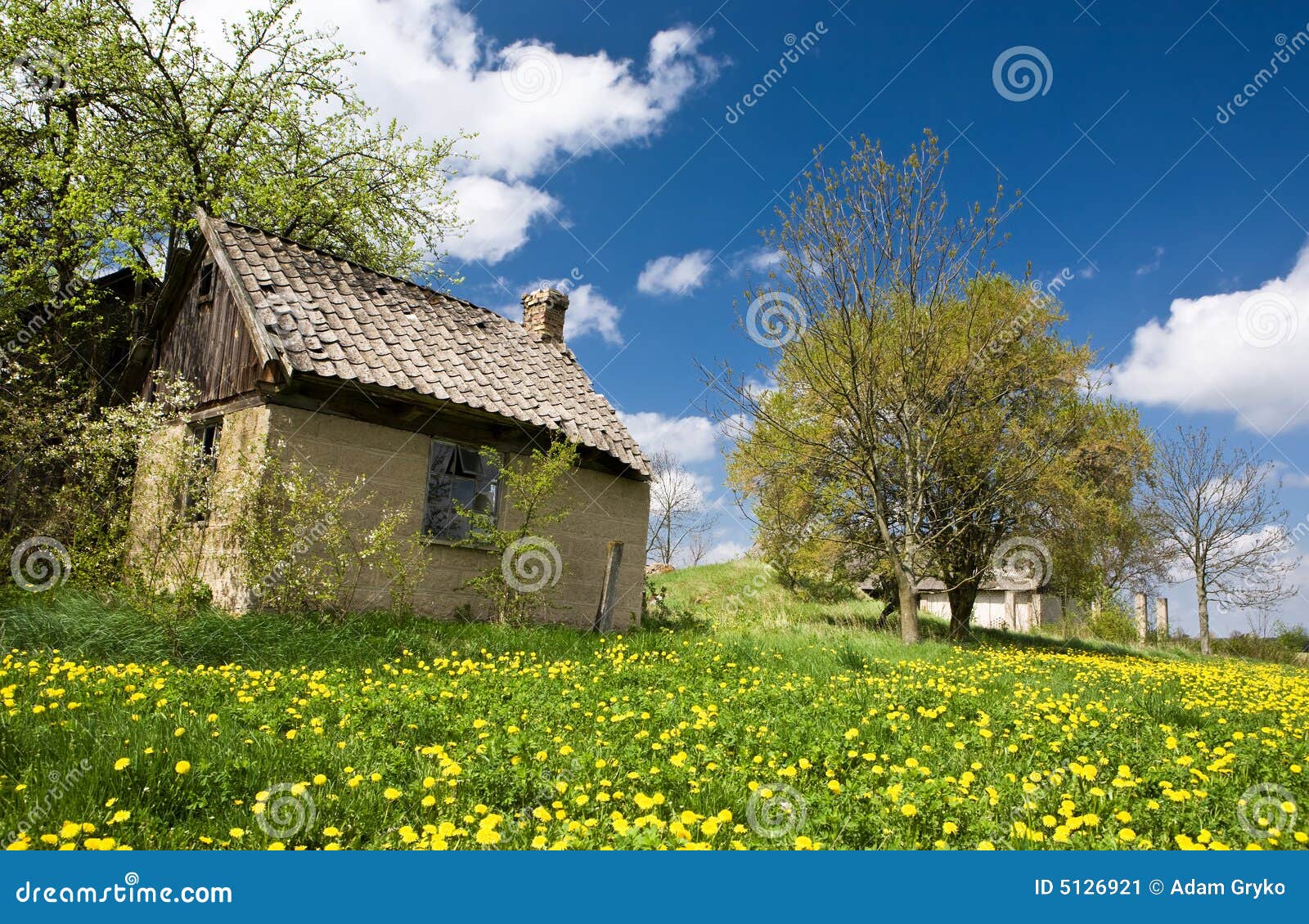 Rural scene stock image. Image of countryside, ecology - 5126921