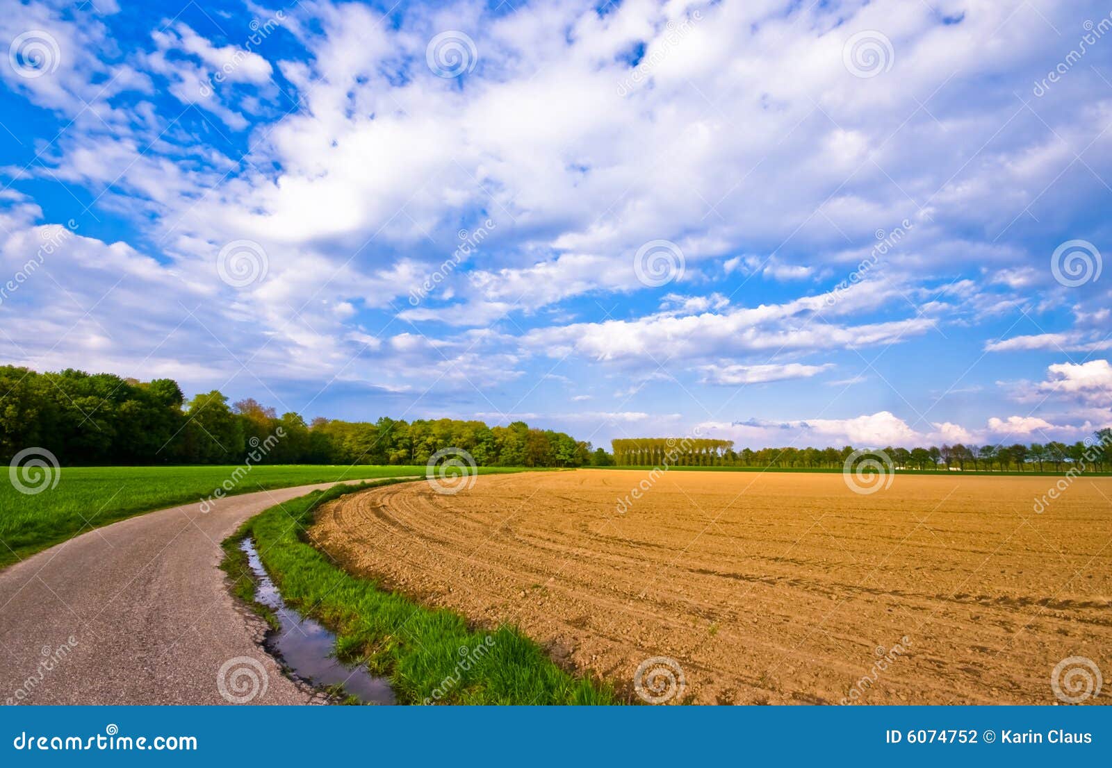 Rural scene stock photo. Image of road, seed, nature, outside - 6074752