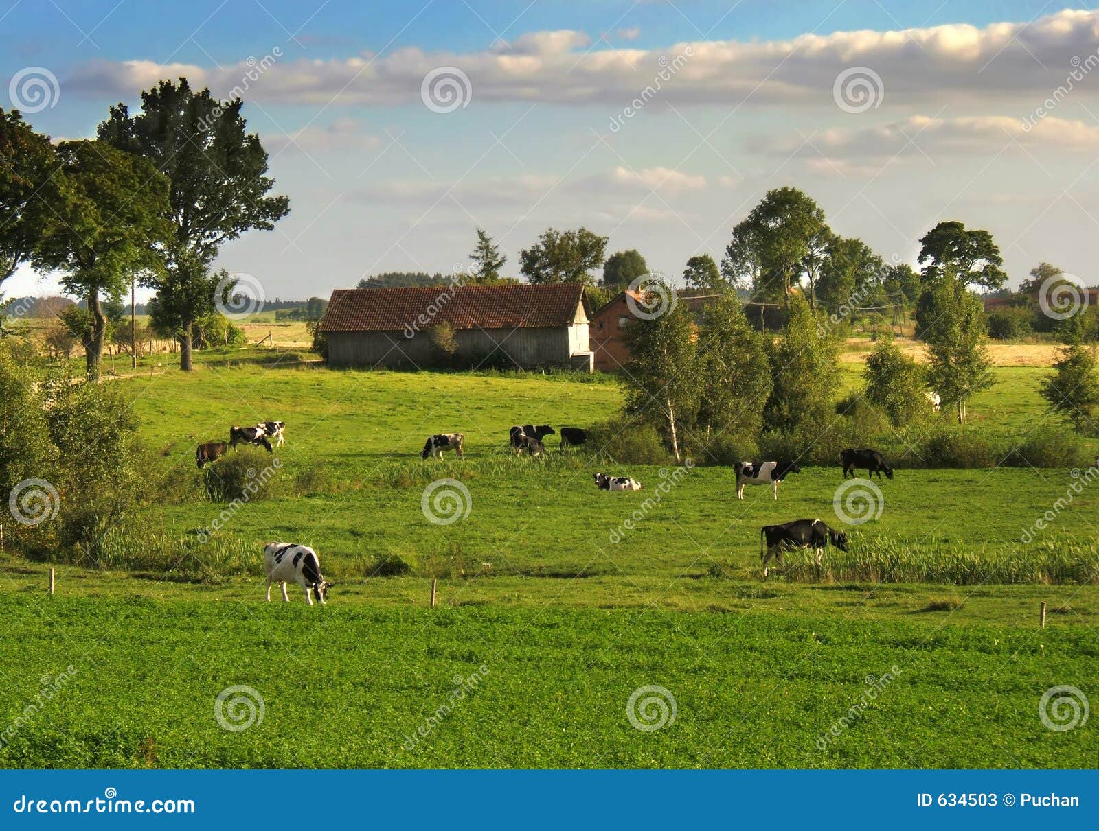 Rural Scene In The French Landscape With Dry Stone Walls , Aubrac ...