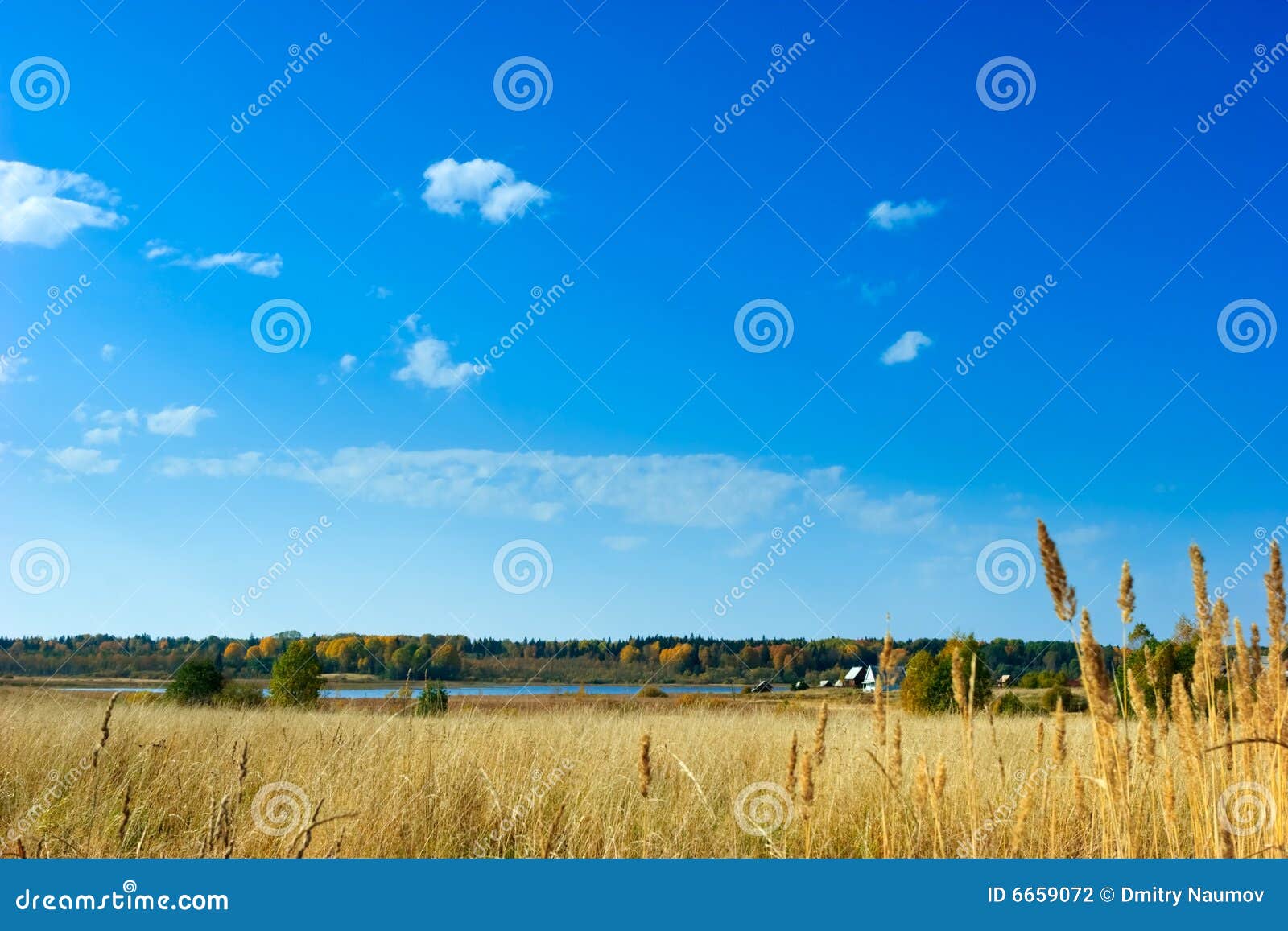 Rural scene stock photo. Image of urban, grass, barn, country - 6659072