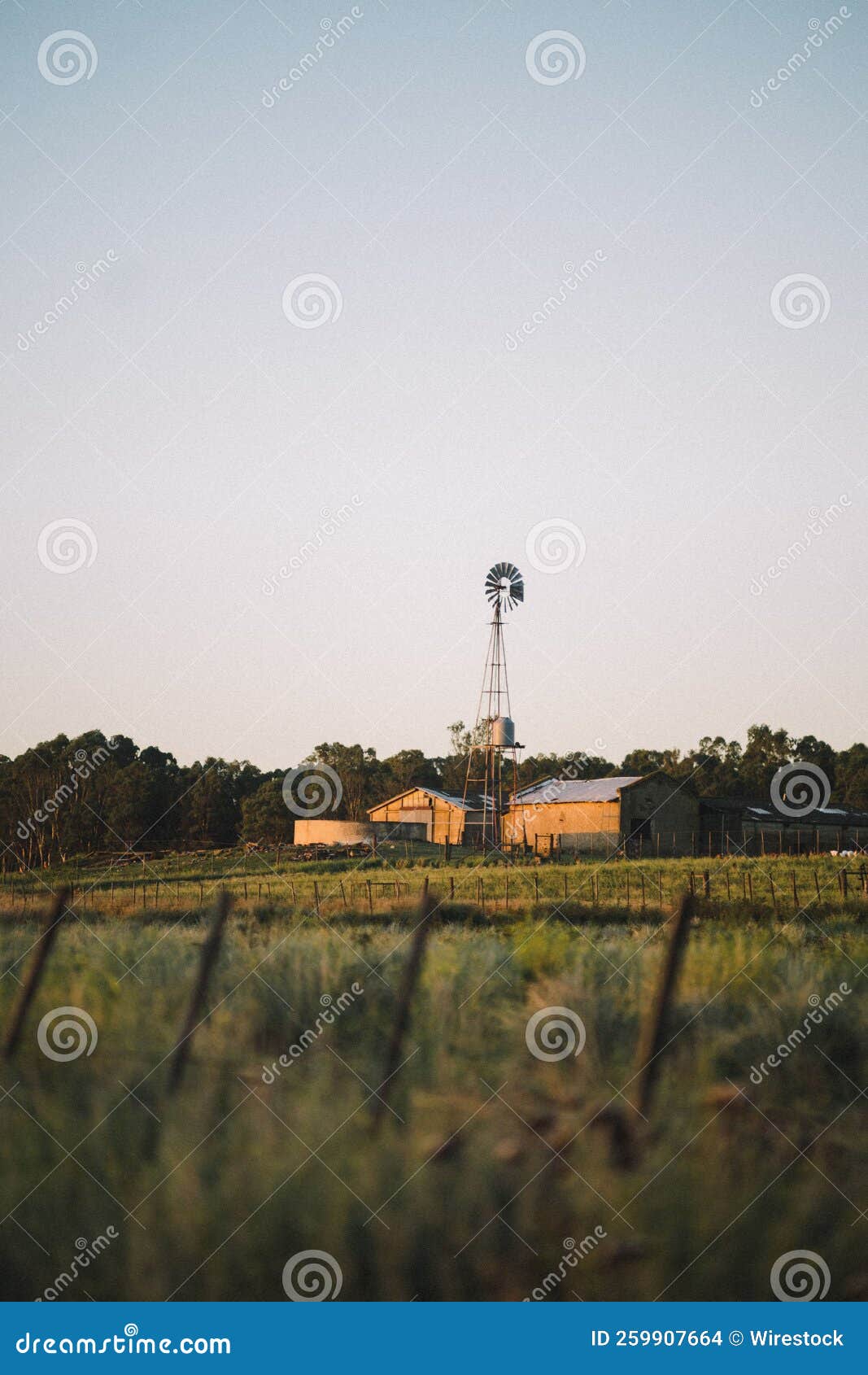 Rural Scene with Agricultural Buildings in the Background Stock Photo ...