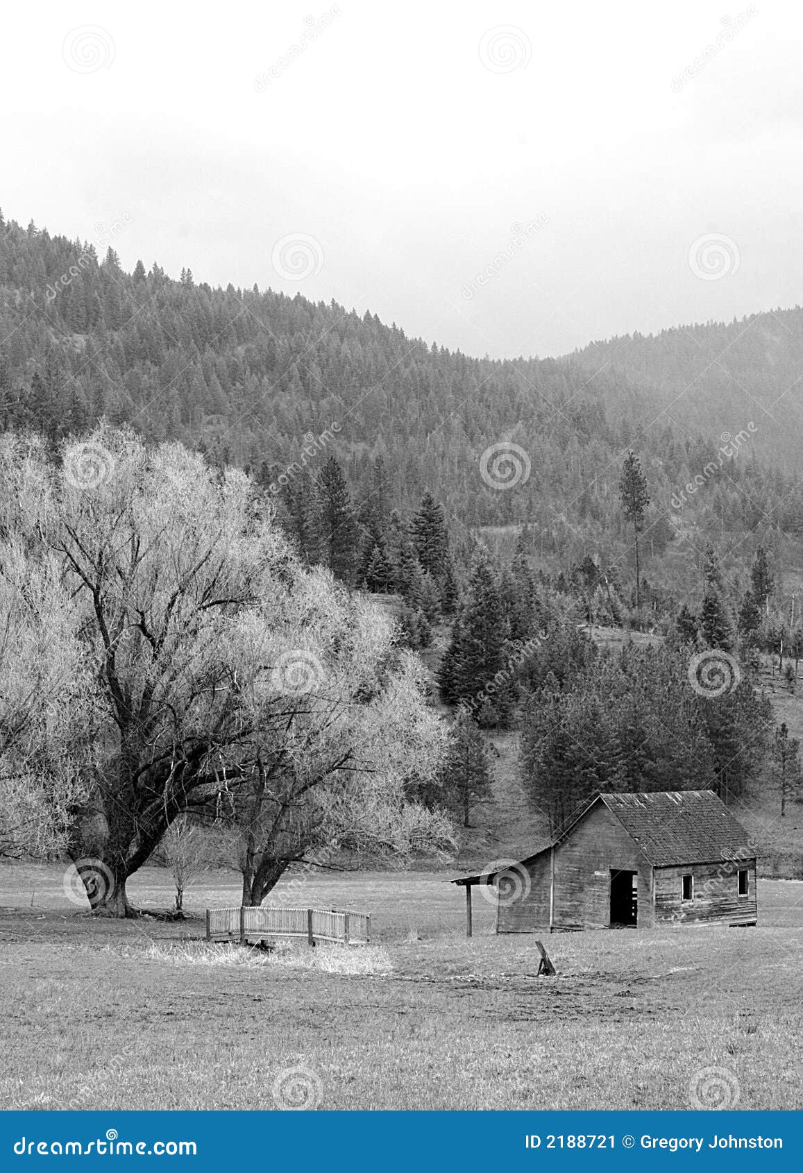 A rural scene in B&W. stock image. Image of pasture - 2188721