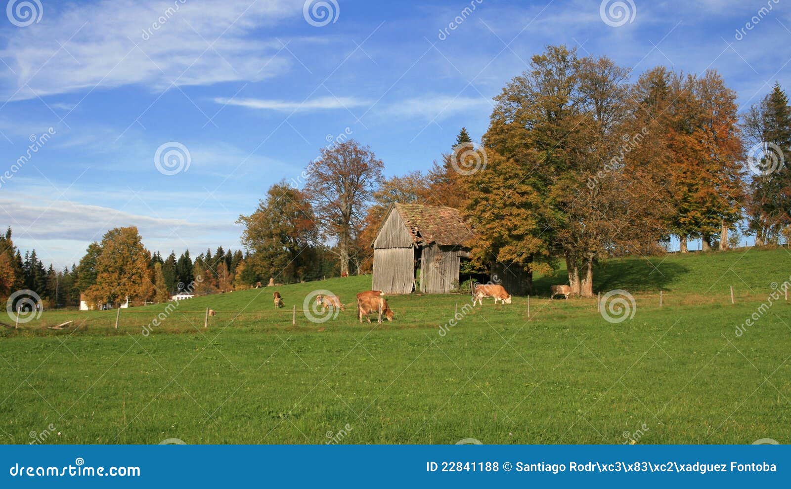 Rural scene in Bavaria stock photo. Image of landscape - 22841188