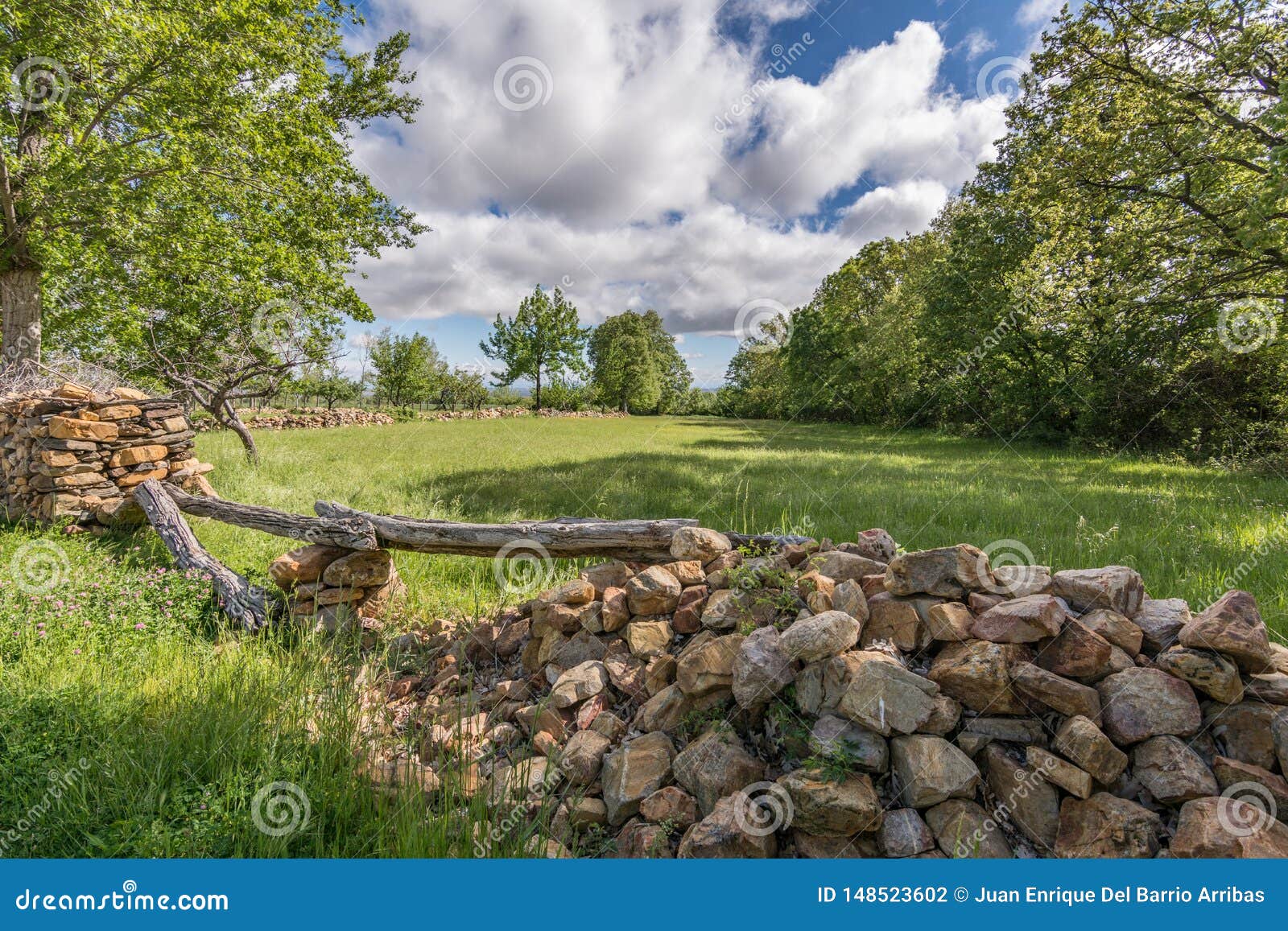 Rural Scene on a Farm in Spring Stock Photo - Image of landscape ...