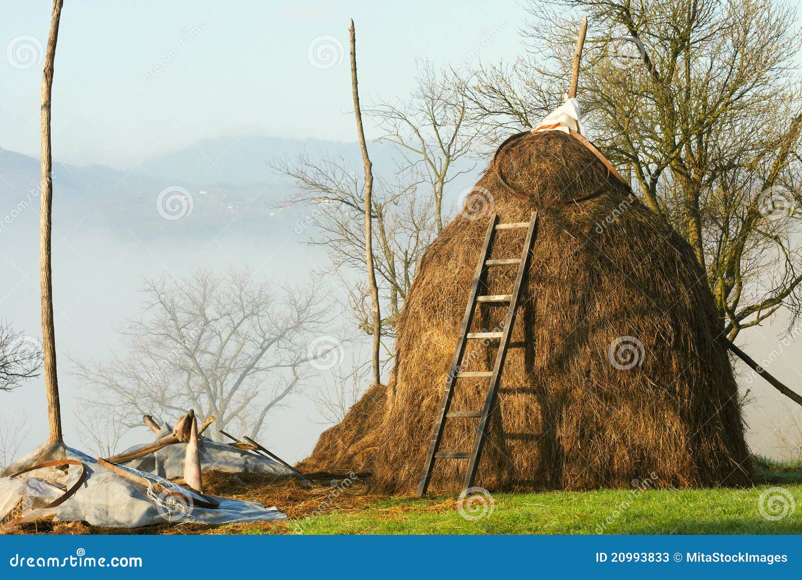 Rural scene haystack stock image. Image of rural, morning - 20993833