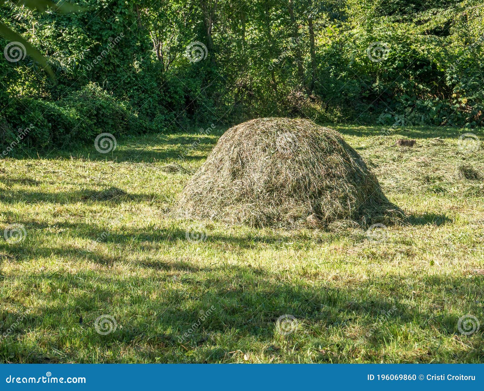 Rural Scene with Haystack on a Field in Romania Stock Photo - Image of ...