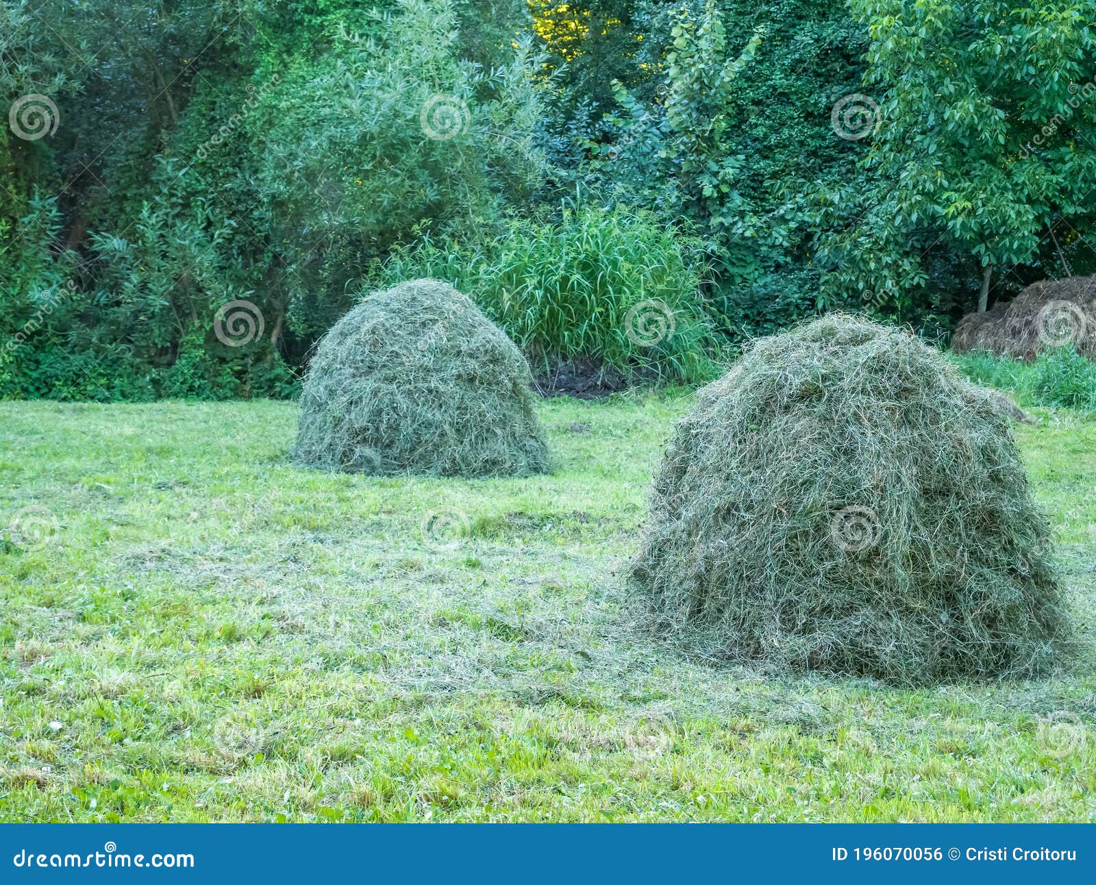 Rural Scene with Haystack on a Field in Romania Stock Photo - Image of ...