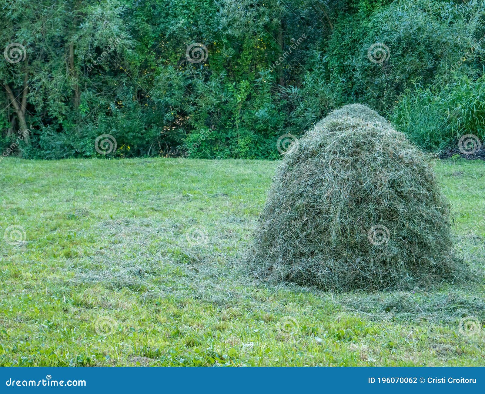 Rural Scene with Haystack on a Field in Romania Stock Photo - Image of ...