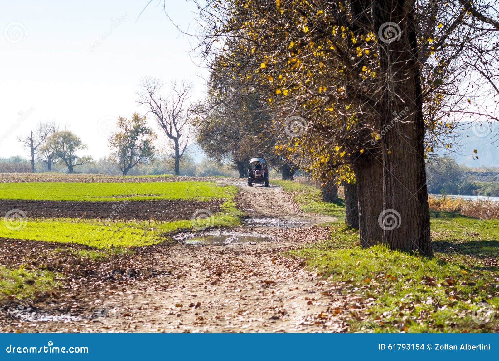 Rural scene stock photo. Image of park, nature, foliage - 61793154