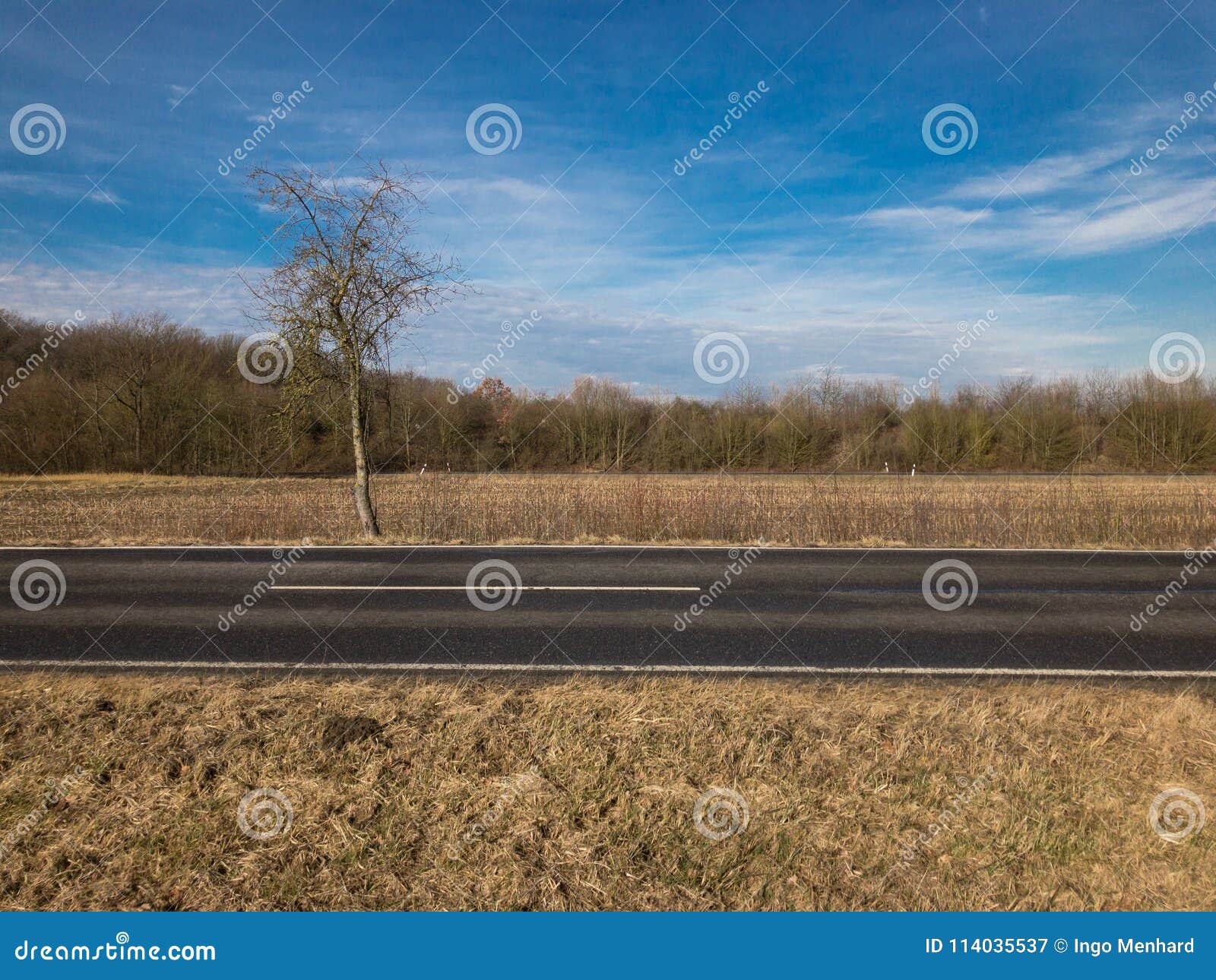Rural Scene of a Road in Front of a Field Stock Image - Image of ...