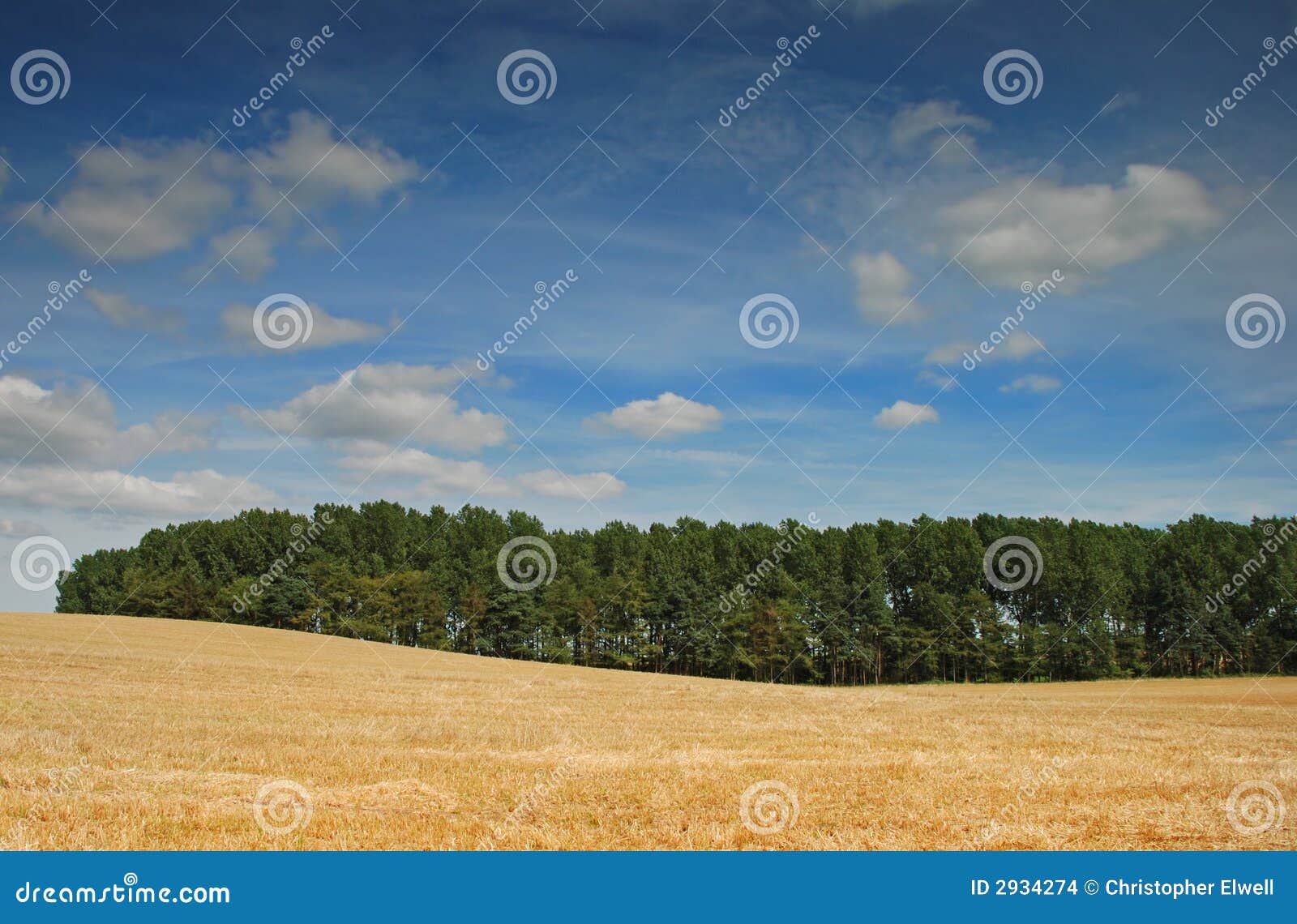 Rural Scene in Shropshire UK Stock Photo - Image of agriculture, clouds ...