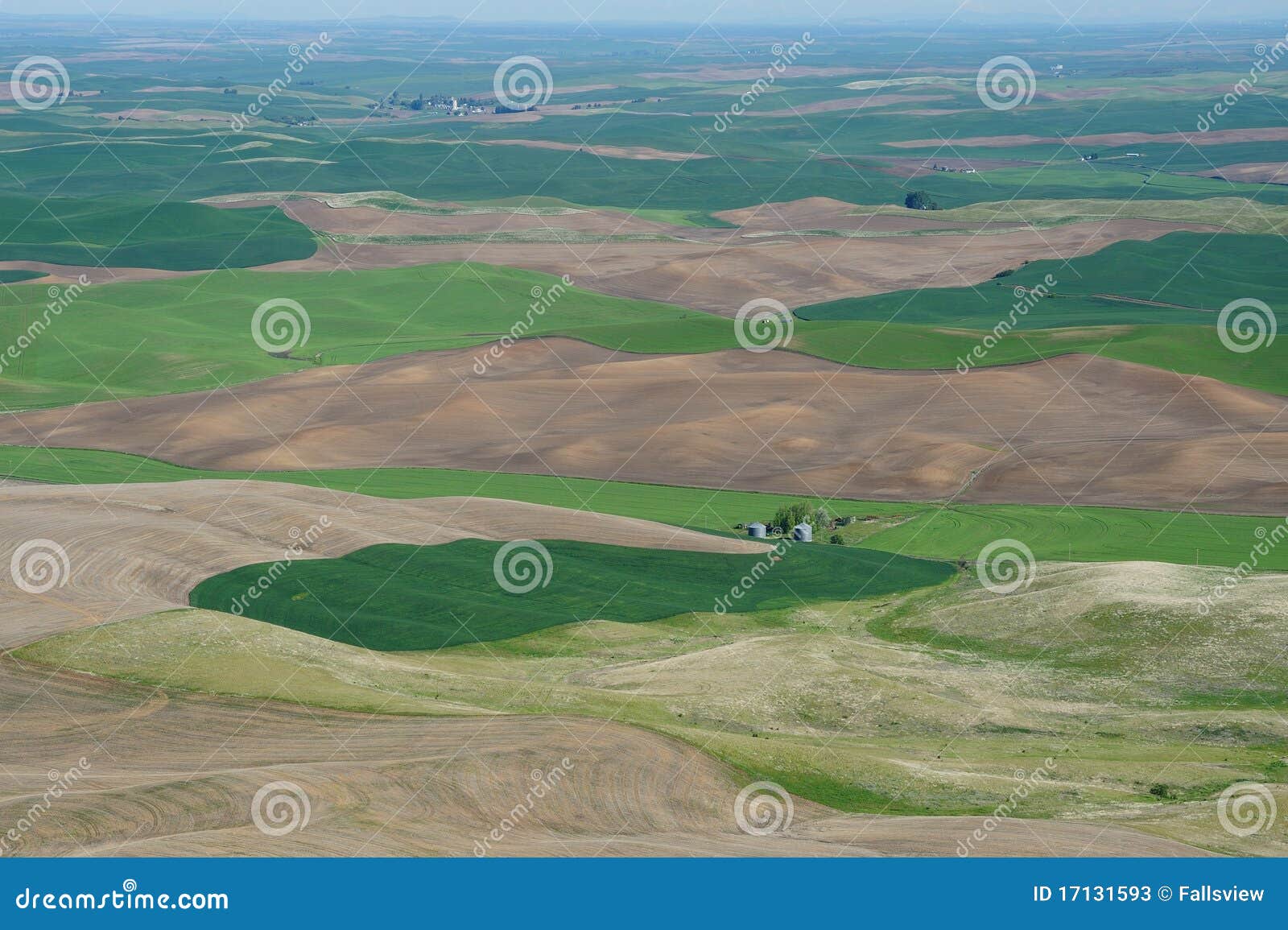 Rural scene of wheat field stock image. Image of palouse - 17131593