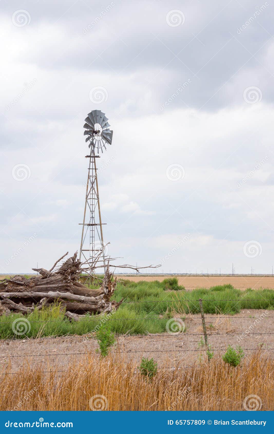 Rural scene with windmill. stock image. Image of countryside - 65757809