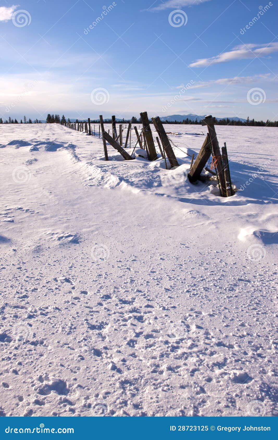 Rural scene in winter. stock image. Image of tree, outdoor - 28723125