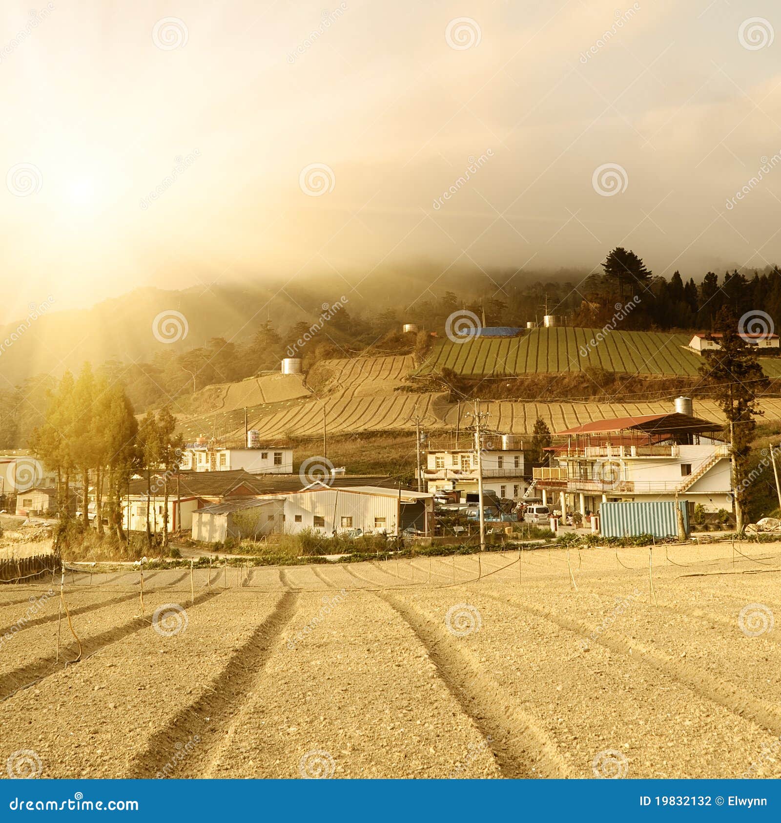 Rural scenery stock photo. Image of environment, growing - 19832132