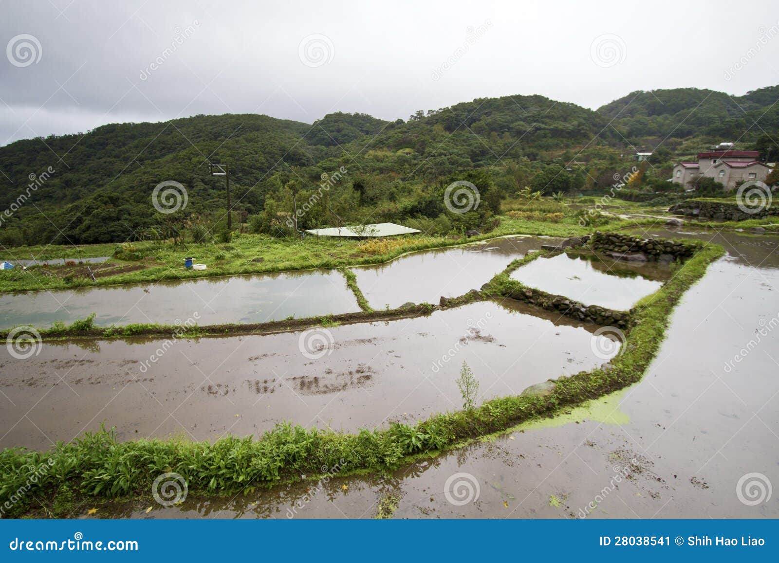 Rural scenery stock image. Image of beautiful, green - 28038541