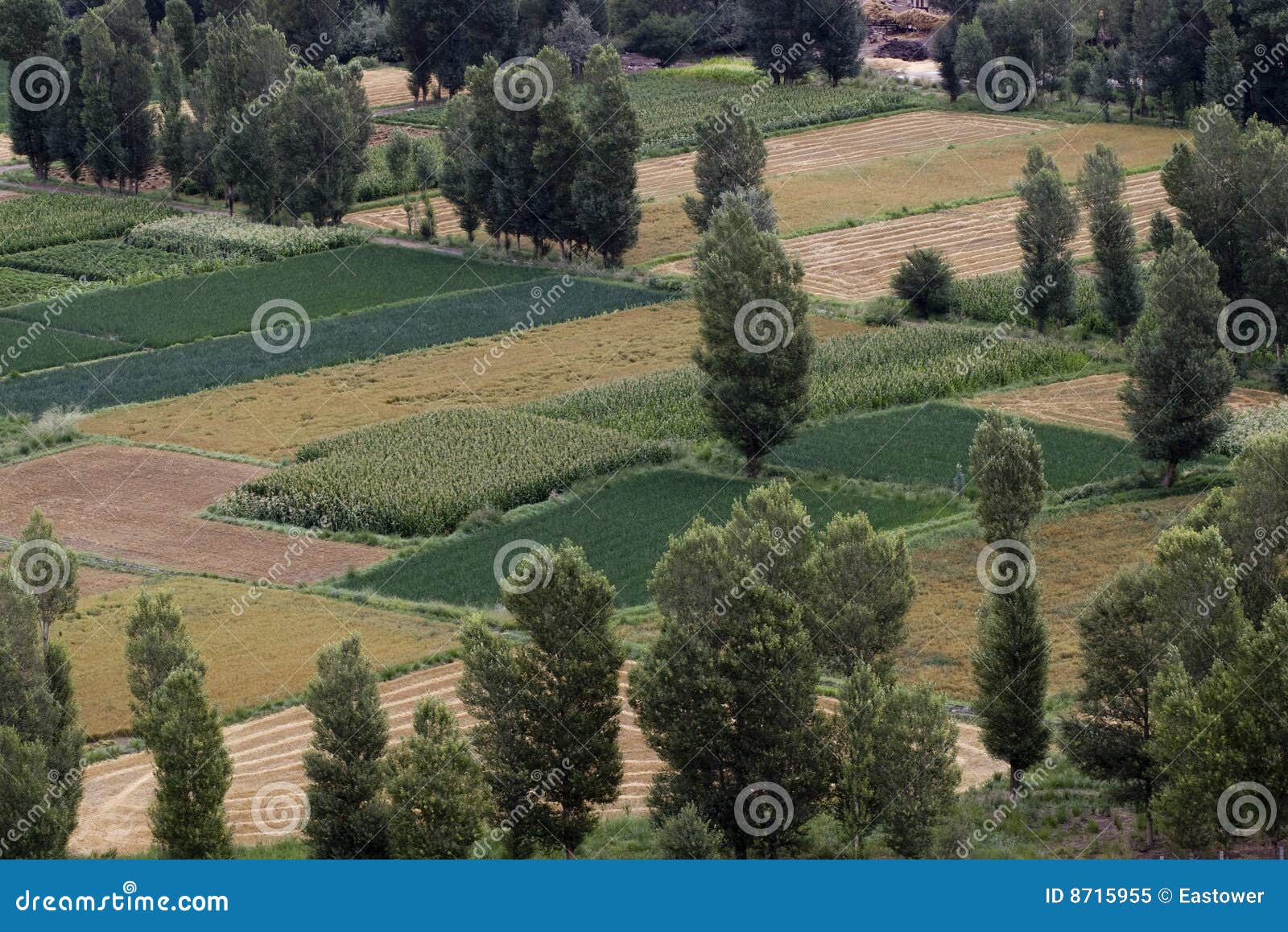 Rural scenery stock image. Image of farm, garden, background - 8715955