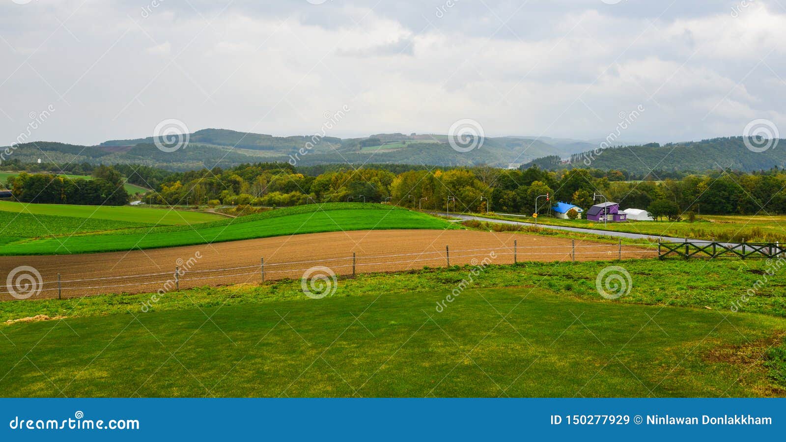 Rural Scenery in Biei, Japan Stock Image - Image of hokkaido, mountain ...