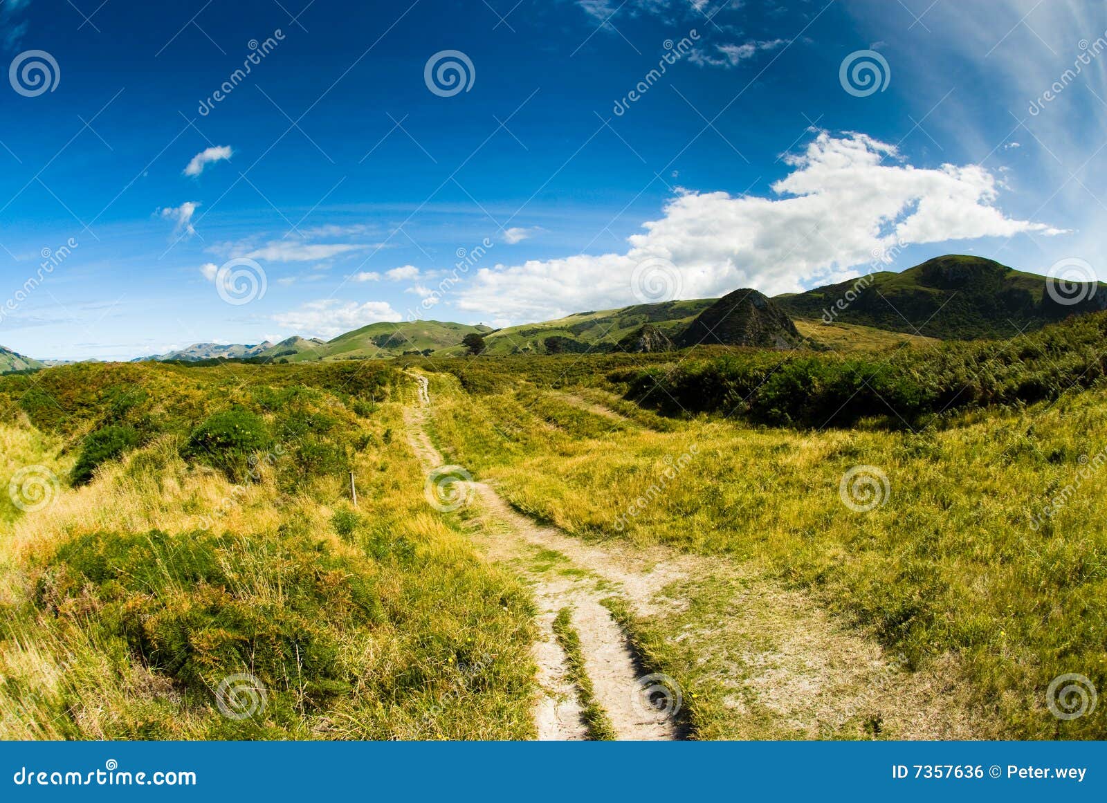 Rural scenery at dunedin stock photo. Image of hill, scenery - 7357636