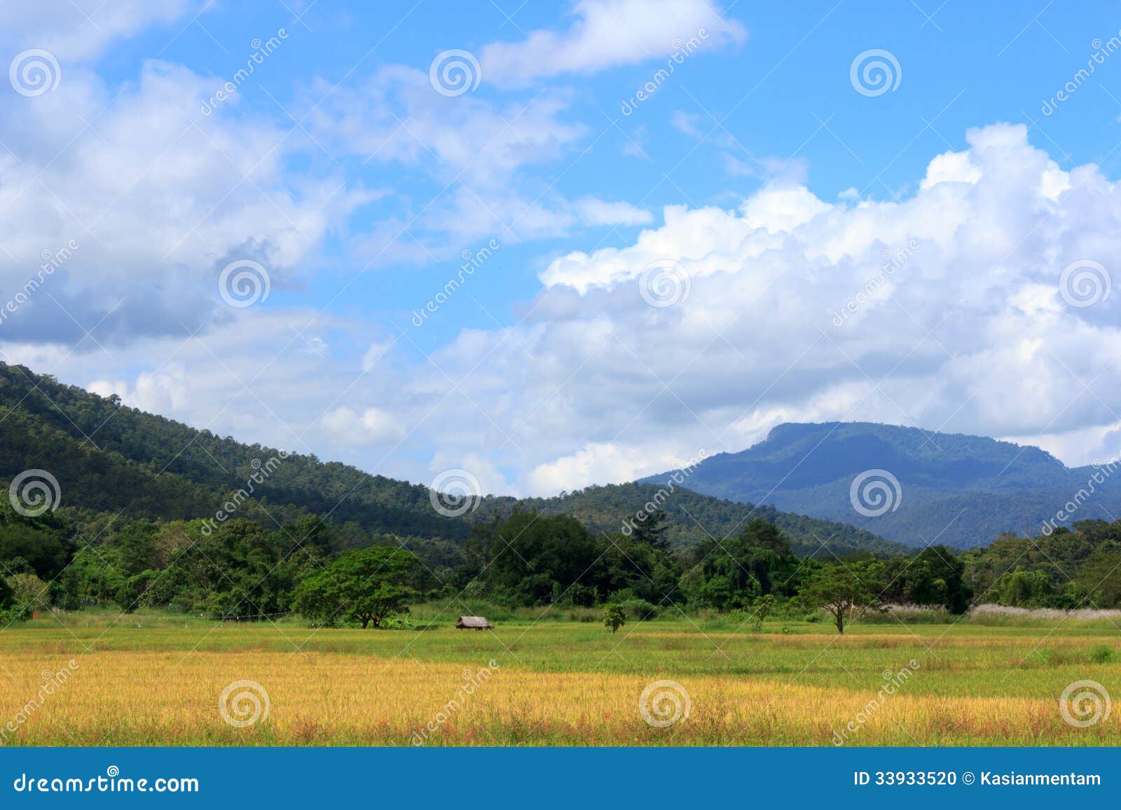 Rural Scenery stock photo. Image of scenery, area, harvest - 33933520